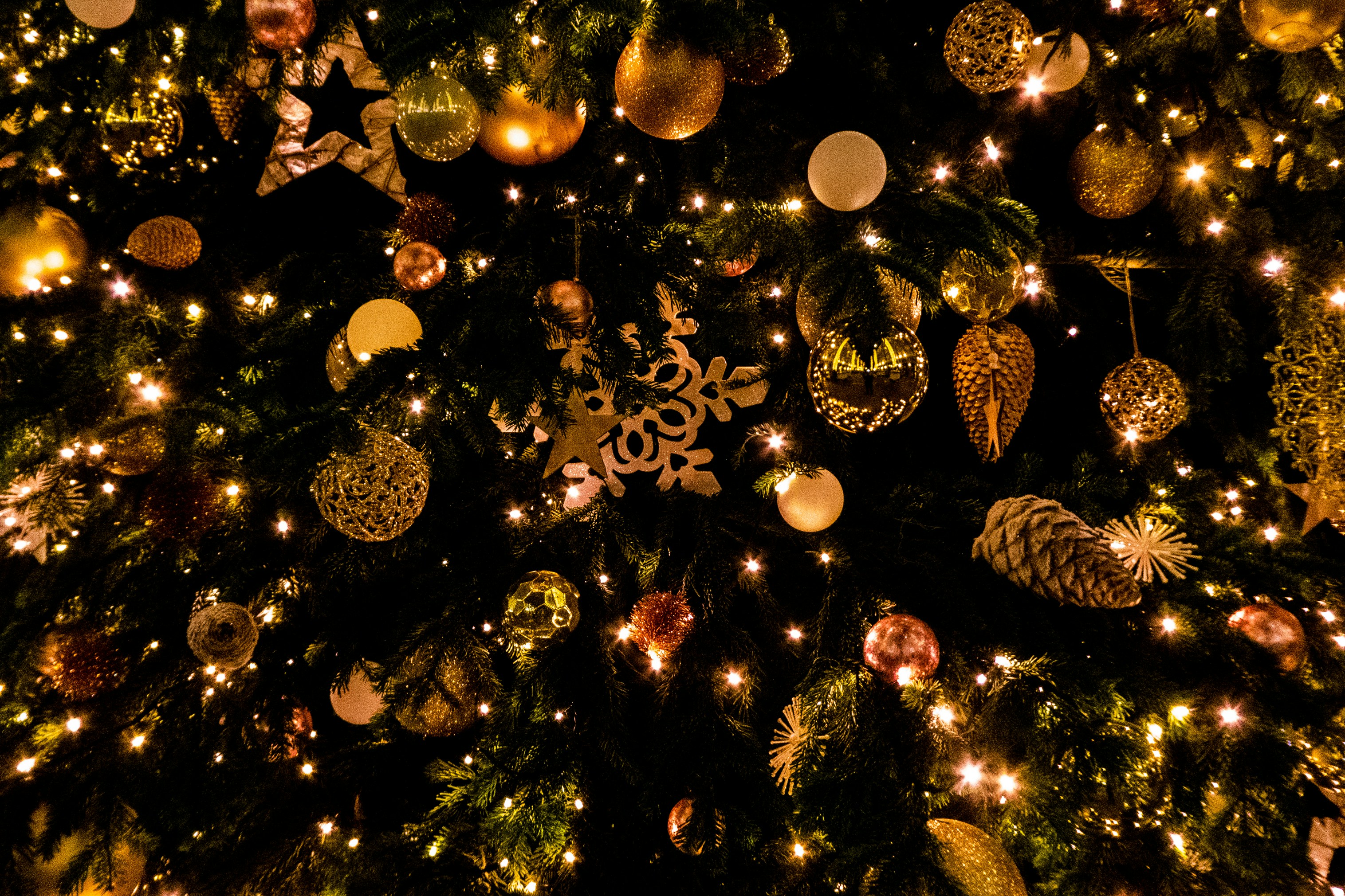 Golden Christmas decorations and twinkling lights on a Christmas tree. | gold baubles on christmas tree