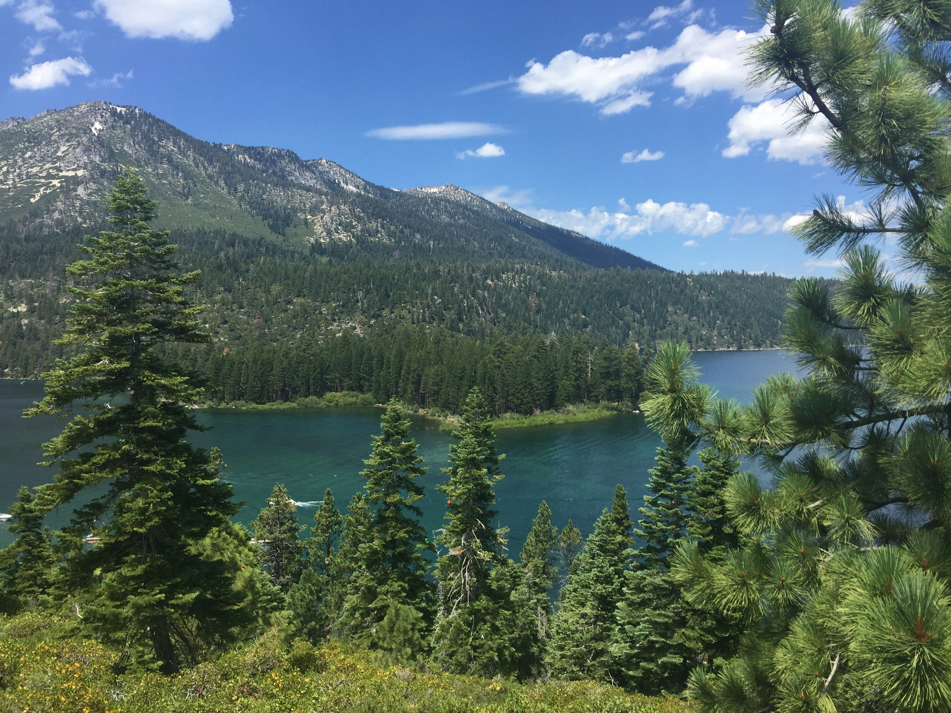 Green pine trees near lake under blue sky during daytime photo – Free ...