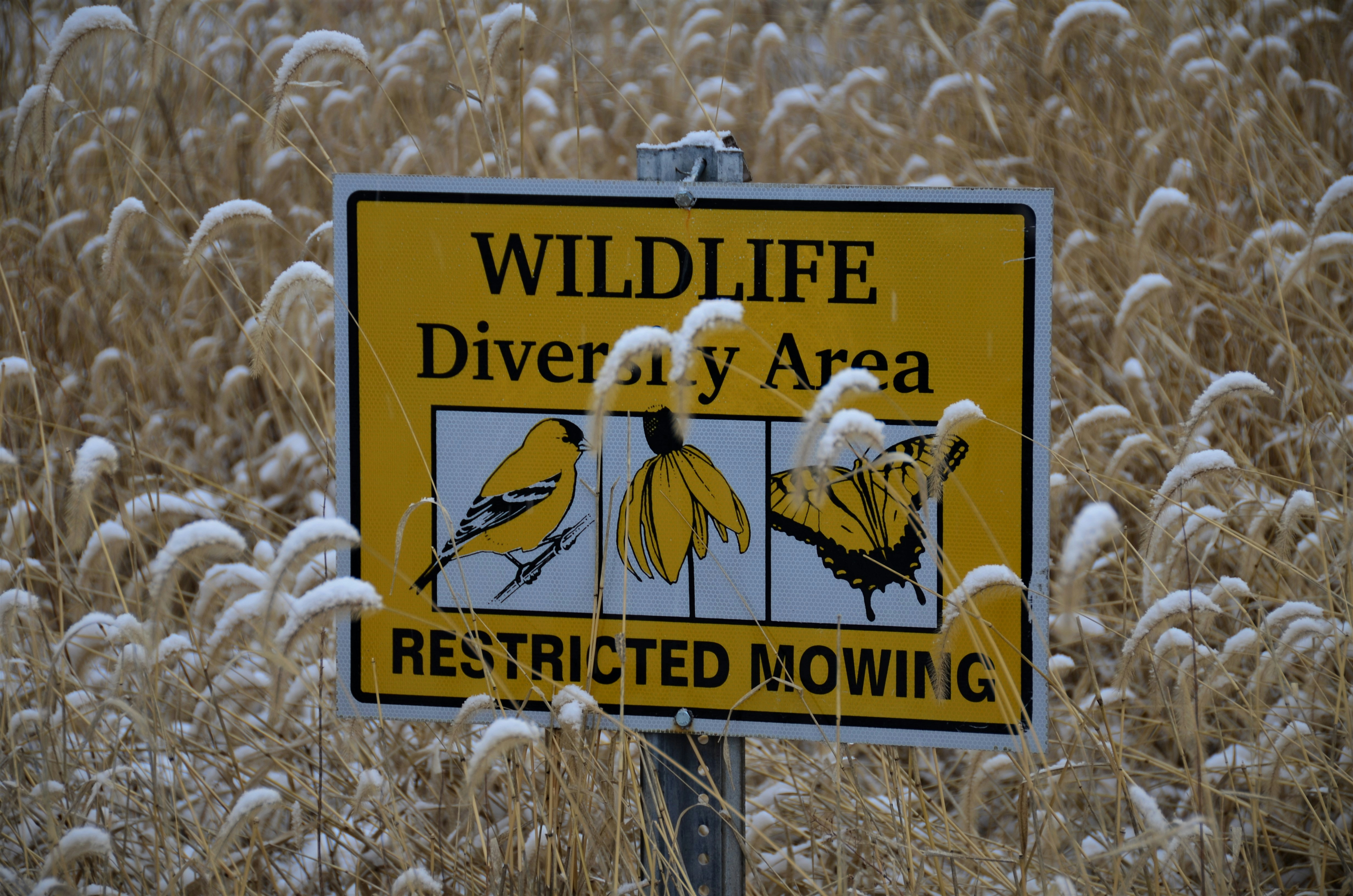 Wildlife Diversity Area, Sycamore State Park