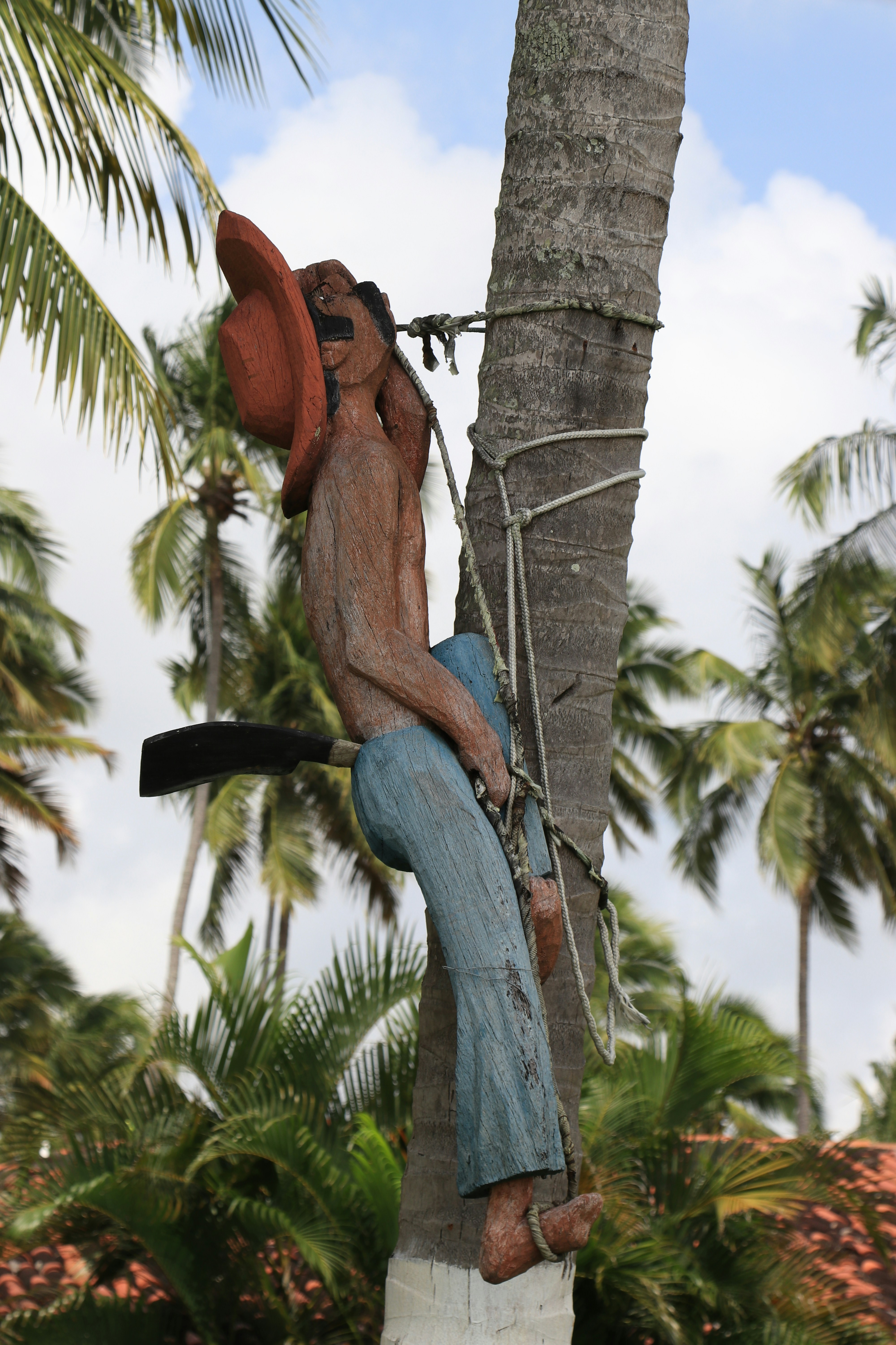 Palm-Threaded Sentinel: A Weathered Wood Figure Clings to a Coconut Trunk