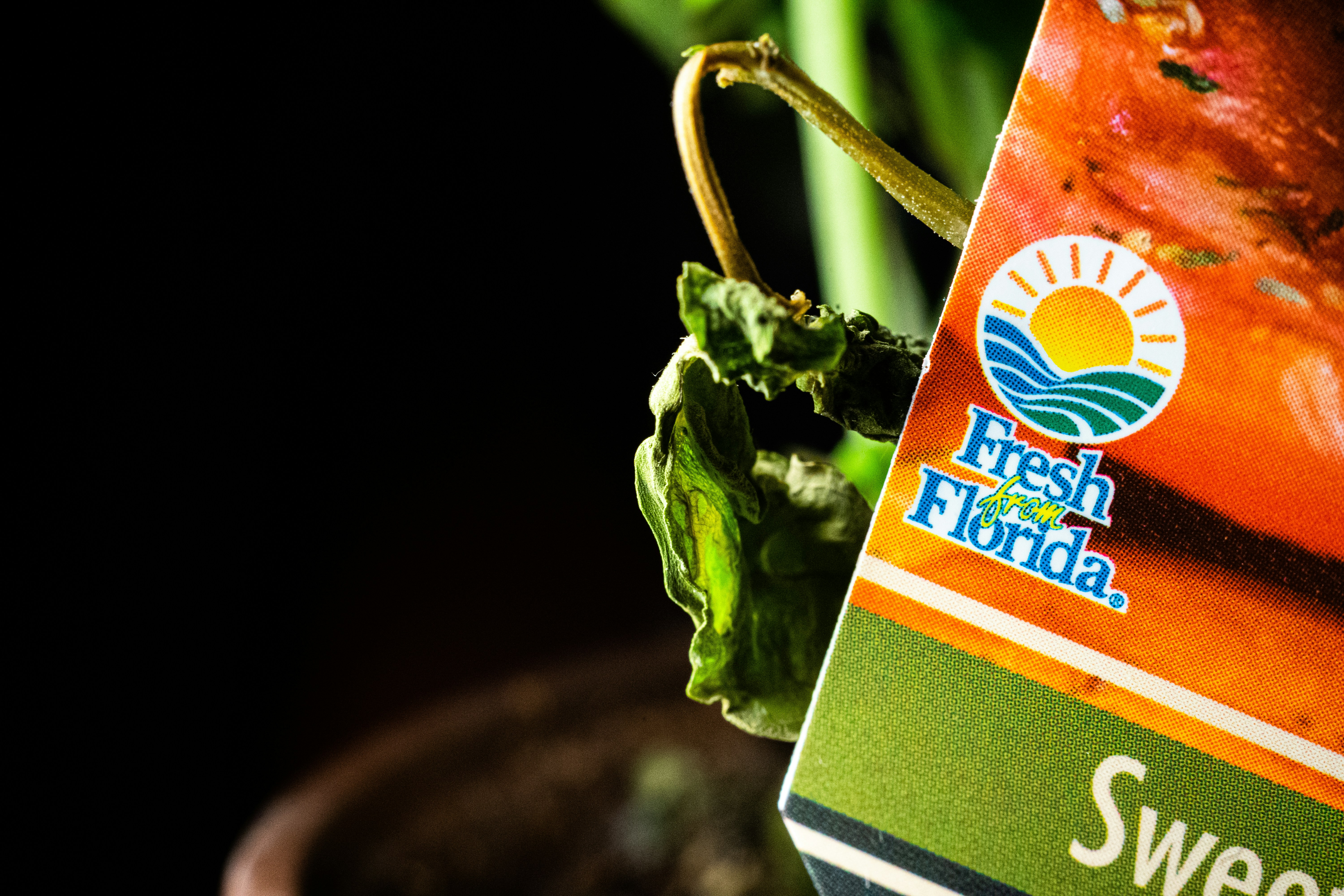 Photo by Marcus Urbenz with Sony Alpha 7 II