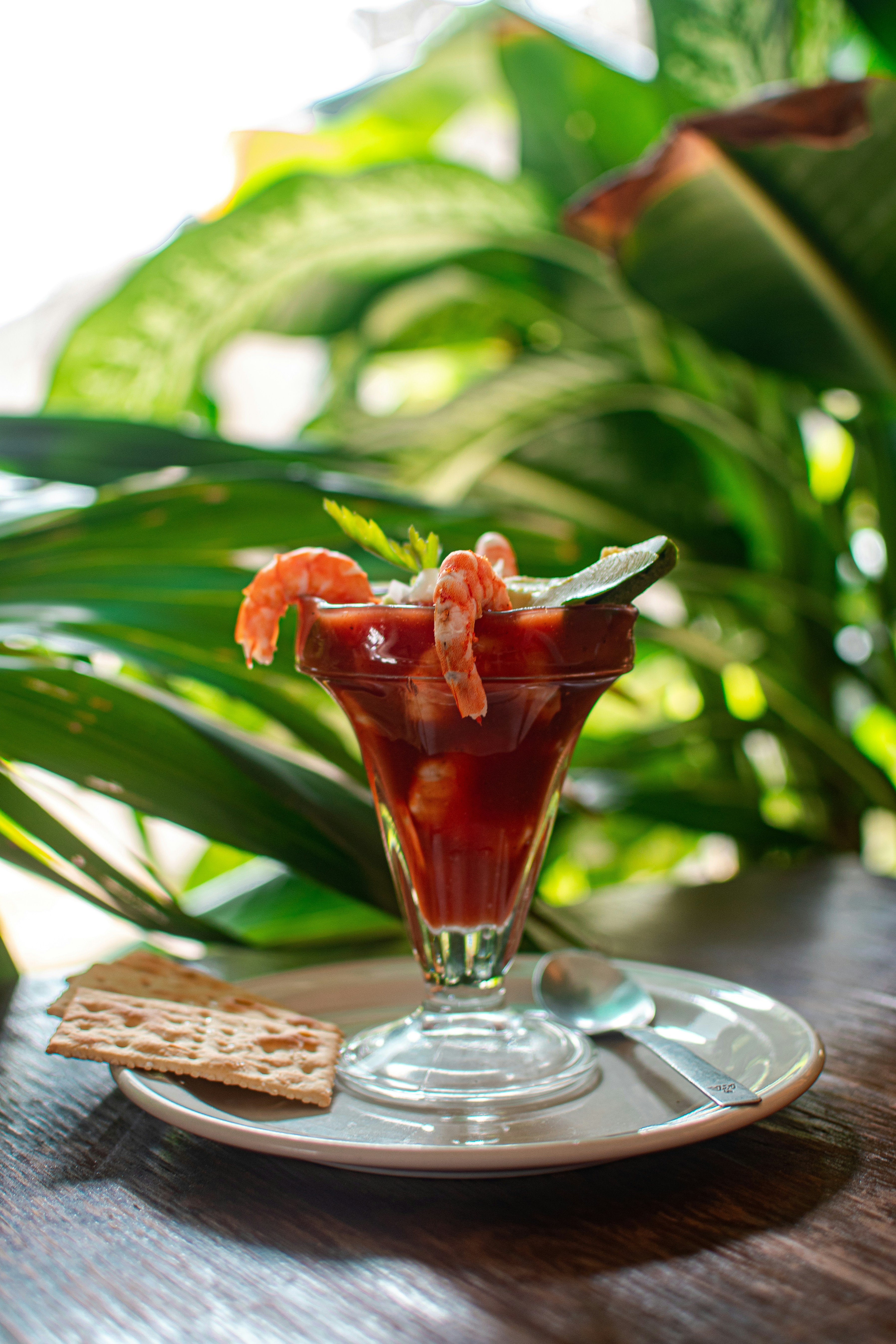 Mariscos Pictures | Download Free Images on Unsplash