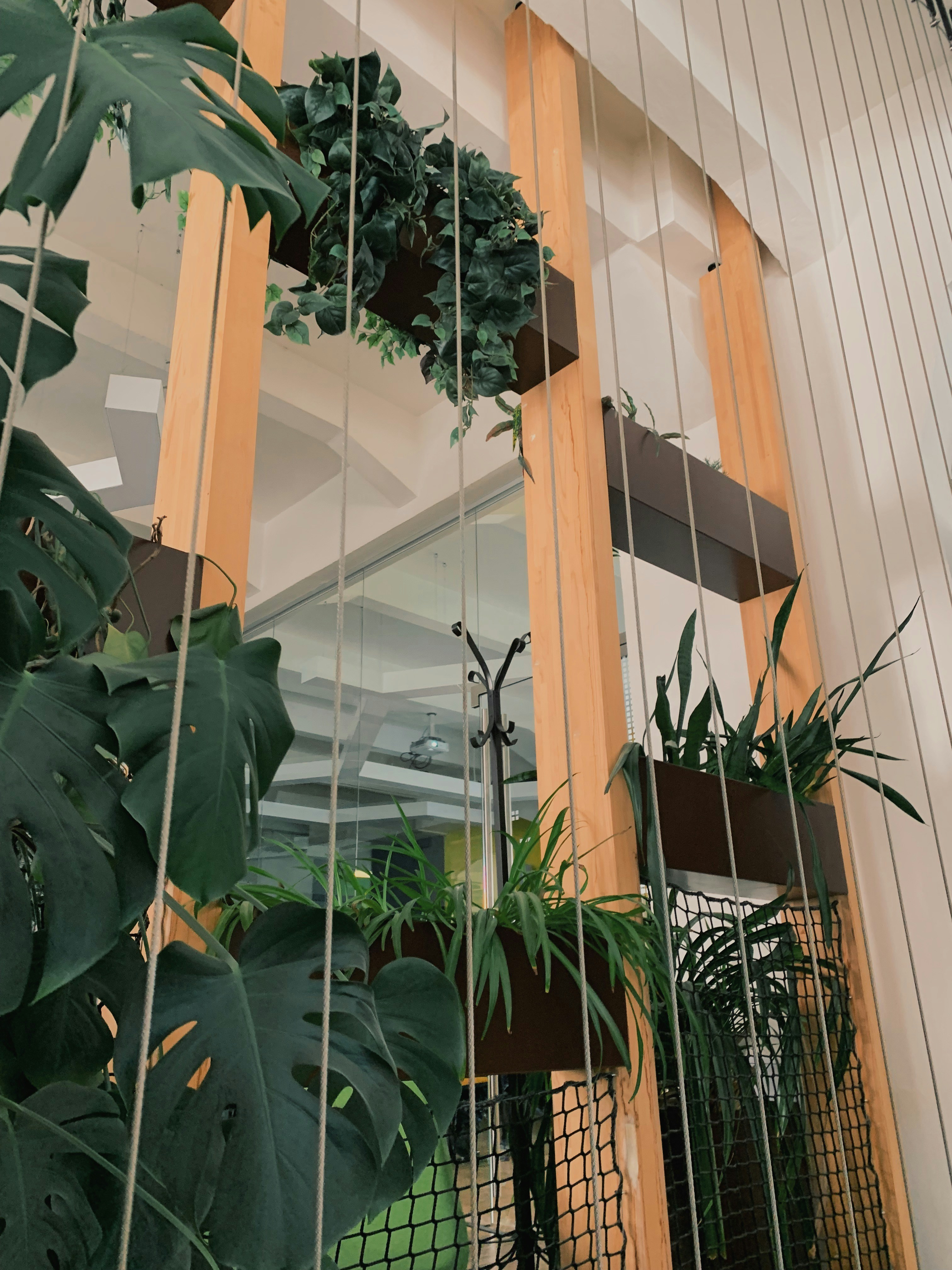 plants all day! got this office space looking kind of like a jungle!