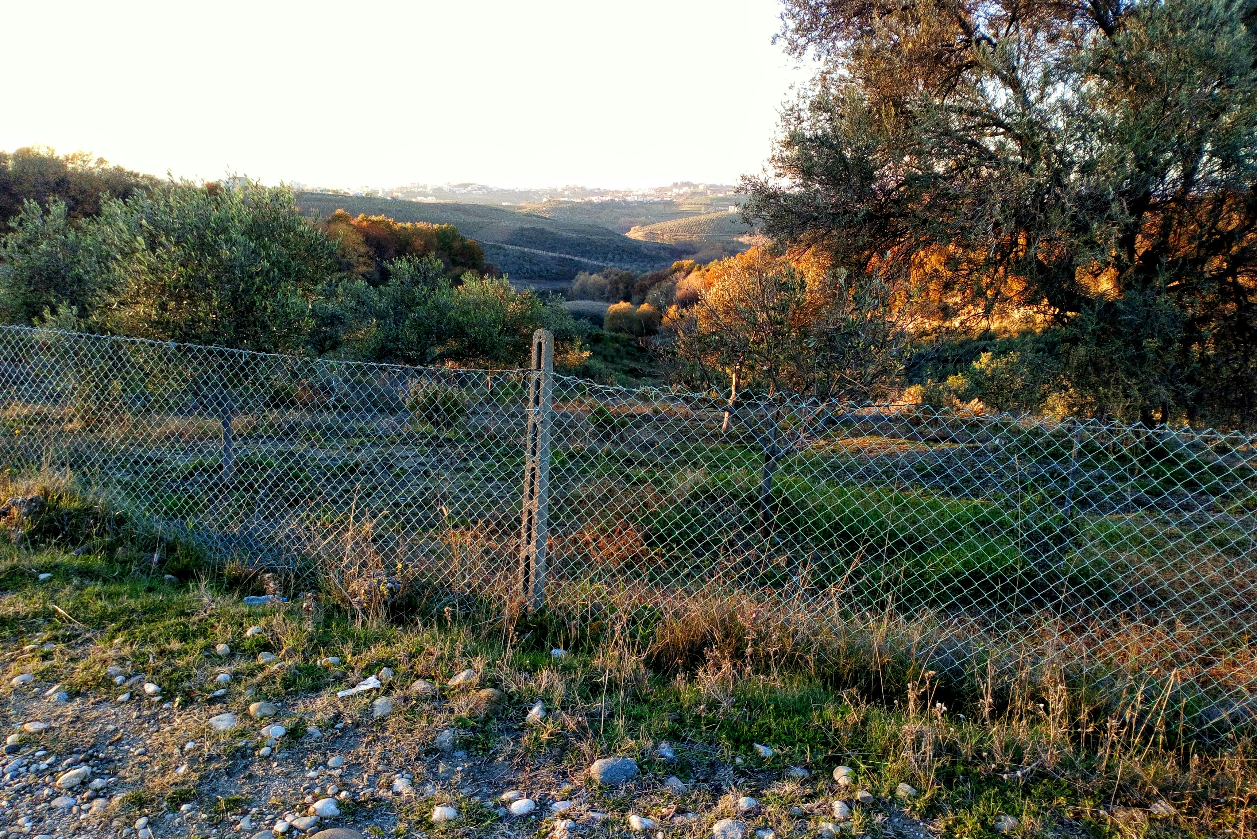 Rolling countryside bathed in warm autumn light, with a weathered chain-link fence in the foreground and distant hills on the horizon.