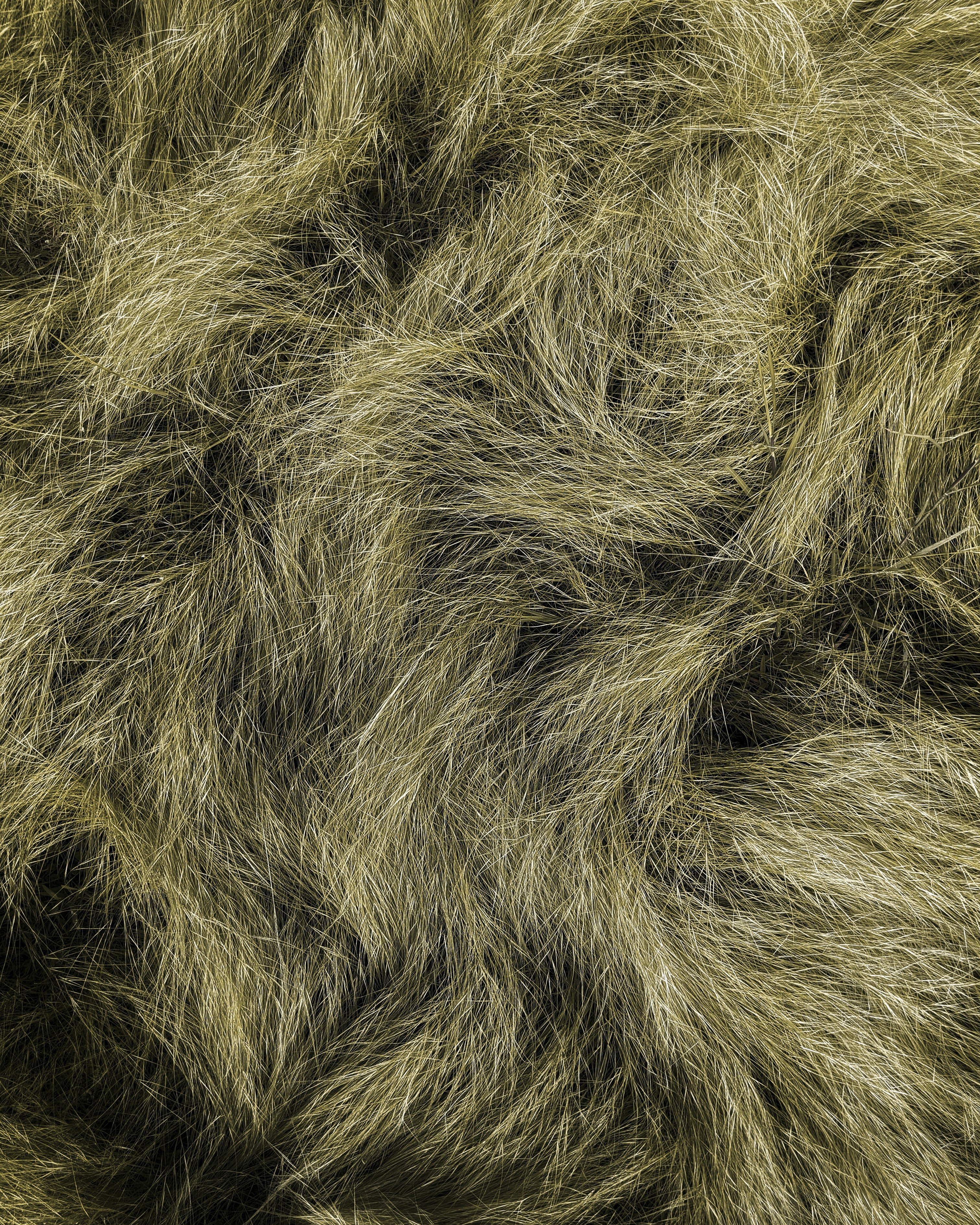 Close-up of a textured surface resembling soft, natural fibers, showcasing intricate patterns and hues. The image emphasizes the organic beauty of natural materials.