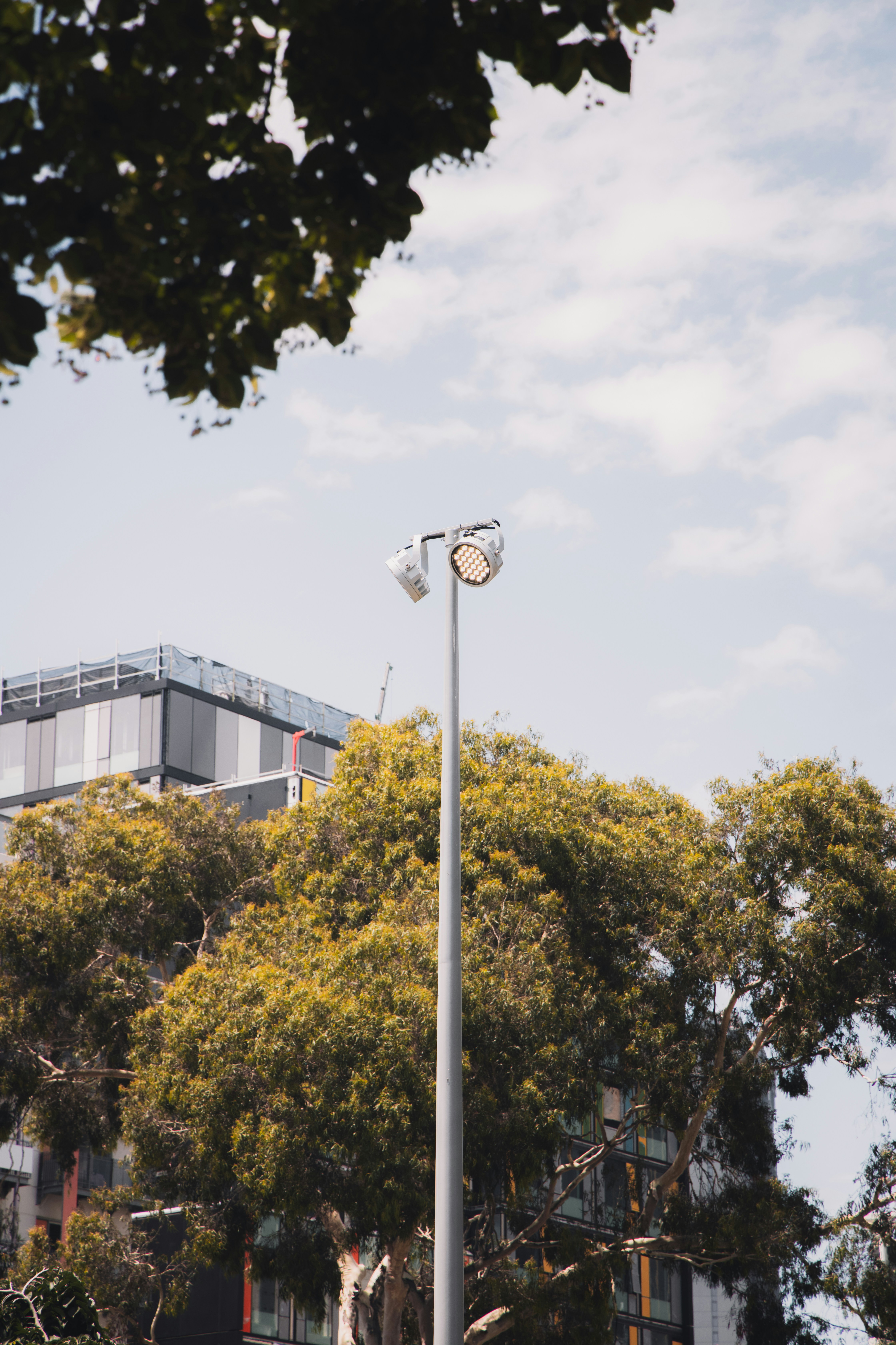 White and gray street light near green trees during daytime photo ...