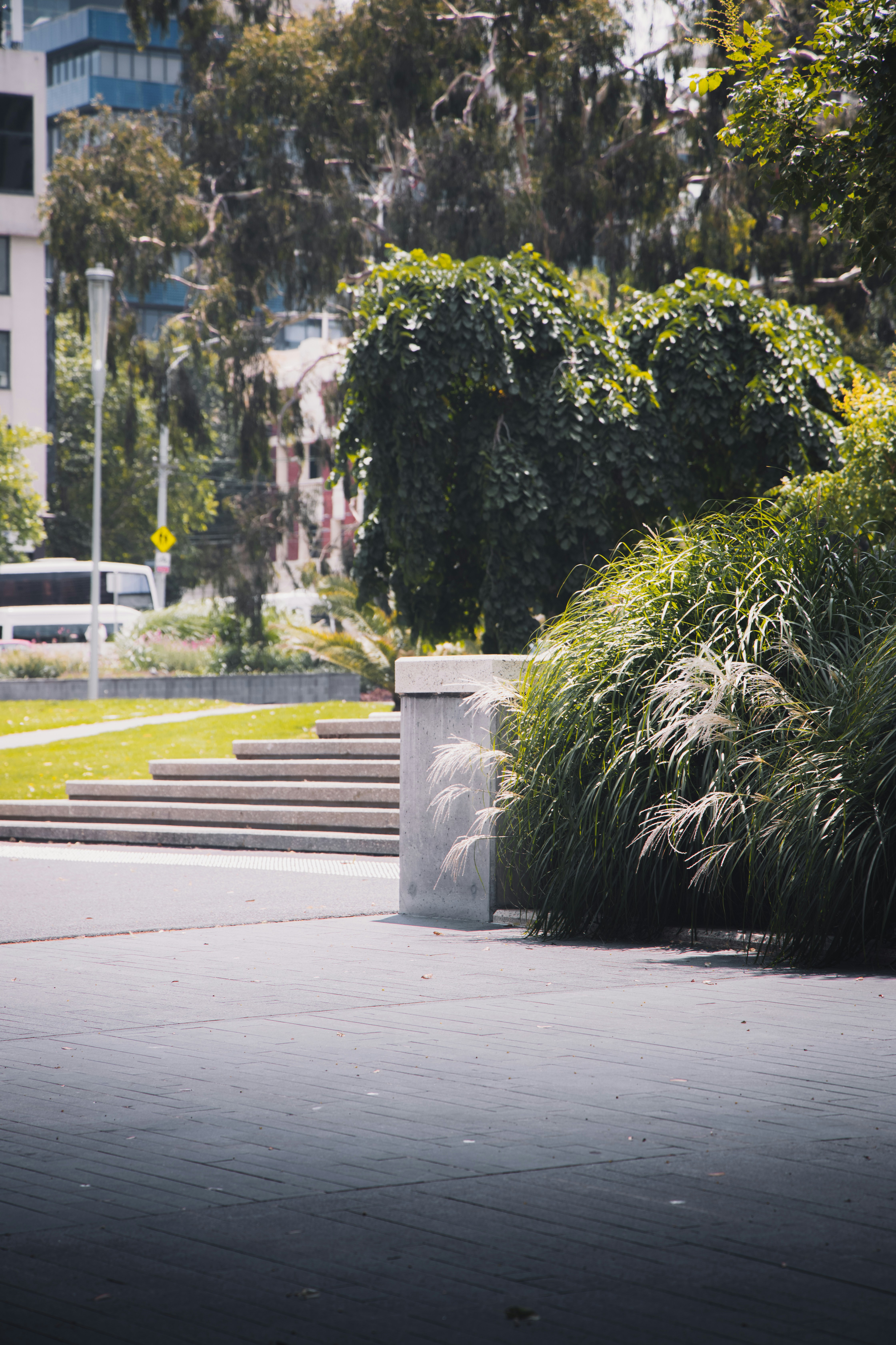 green plant near white concrete building during daytime