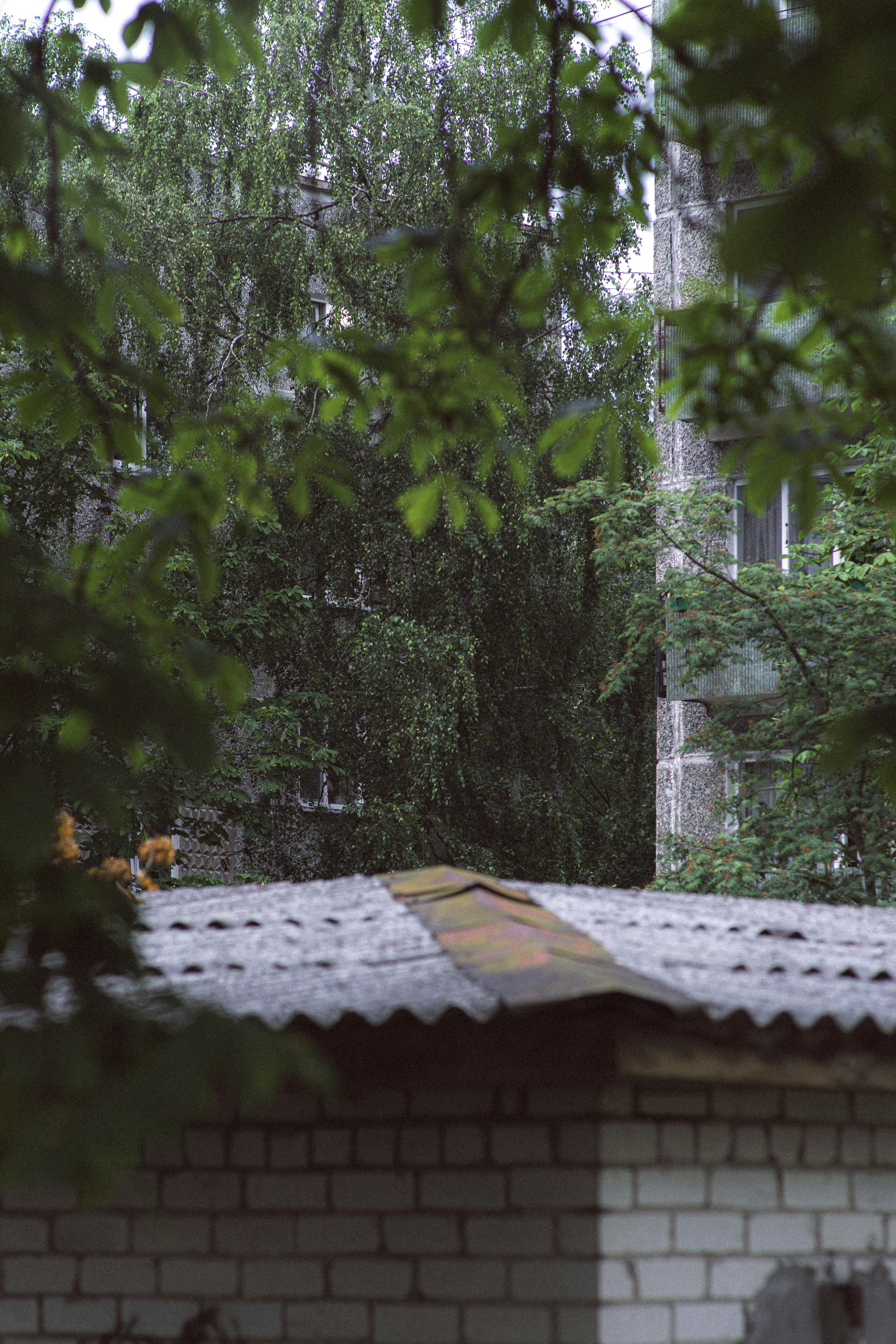 Overgrown Rooftop Shelter Behind a Village Brick Wall