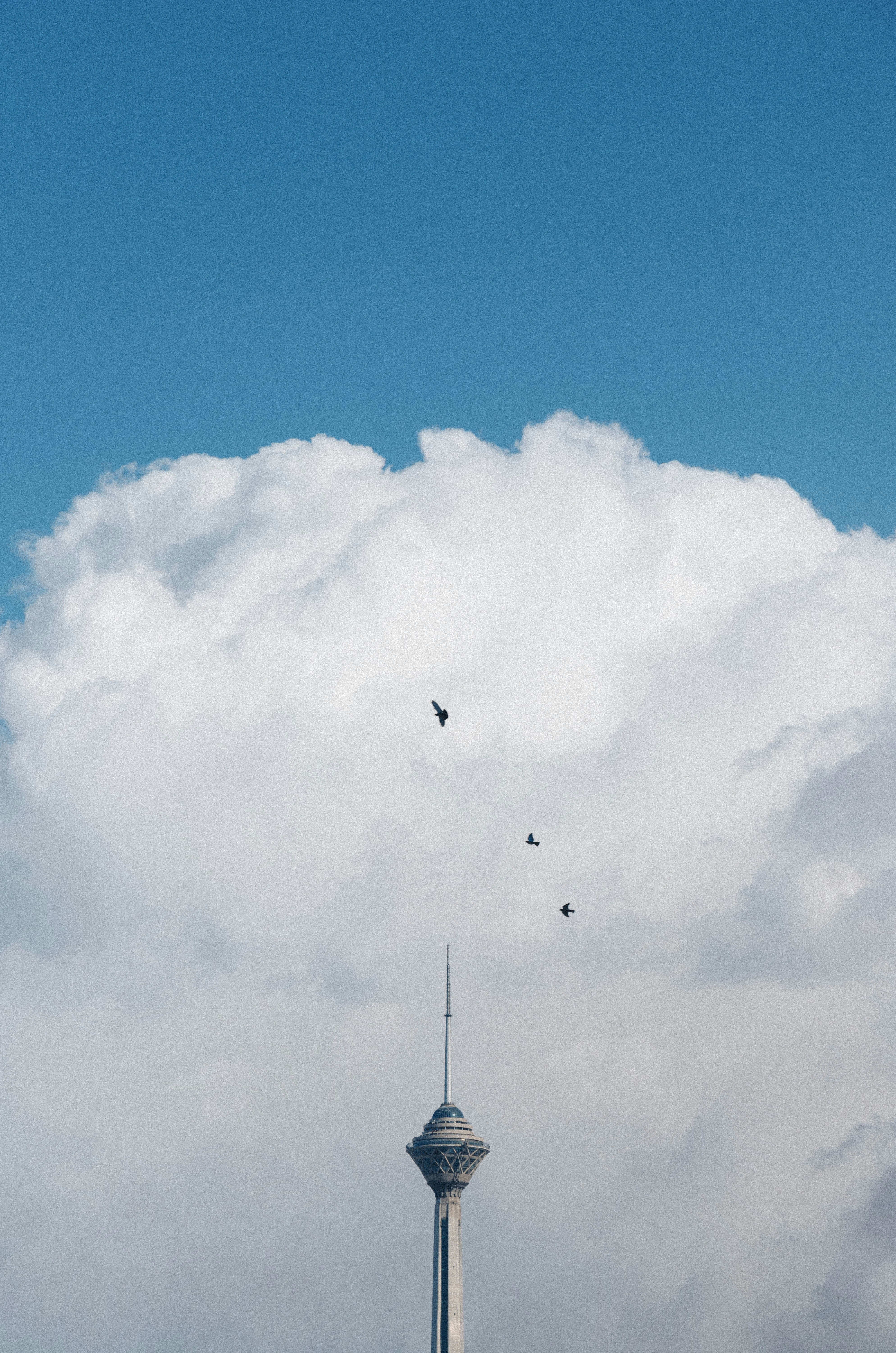 Milad Tower rising majestically against a backdrop of fluffy clouds, with birds flying nearby.
