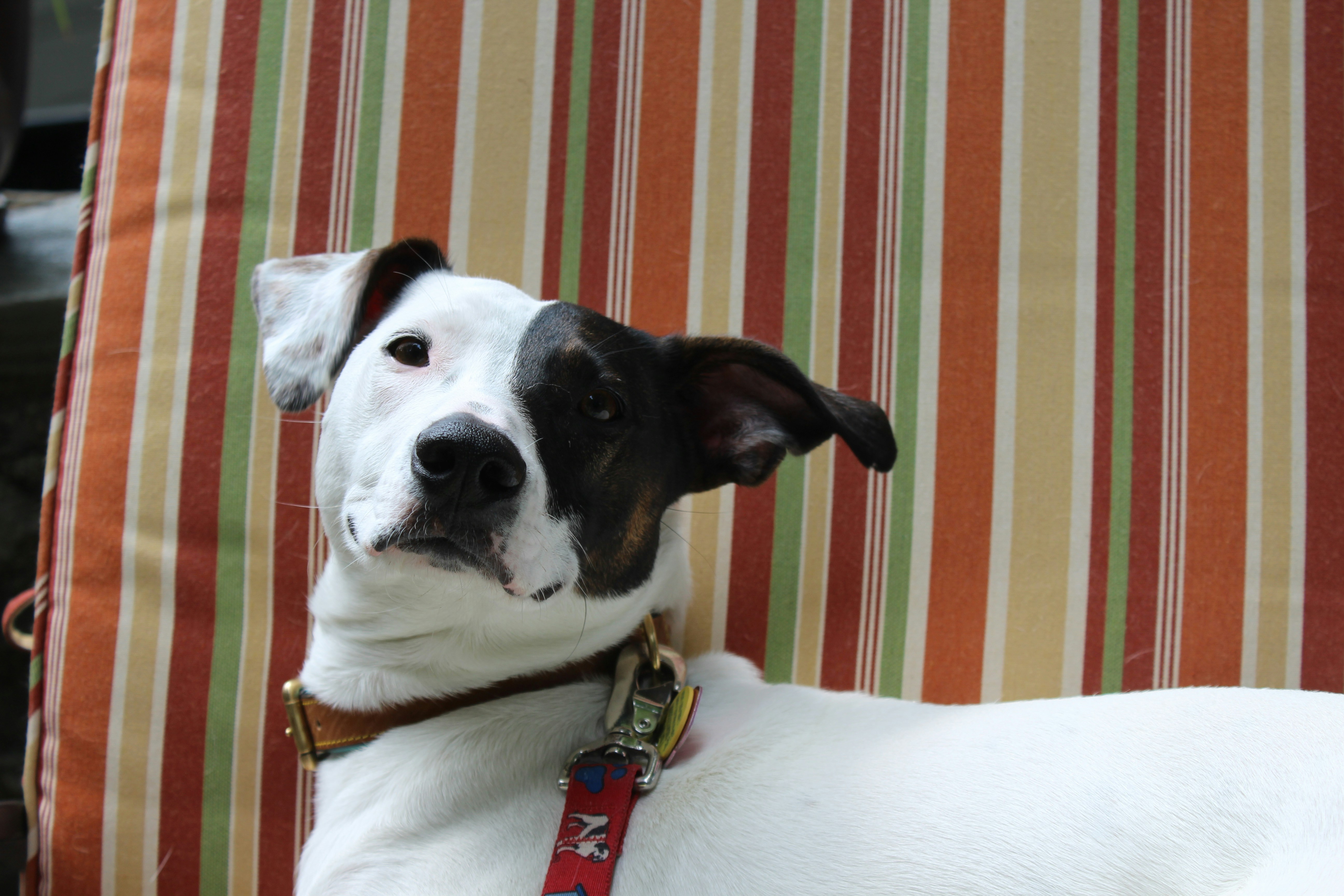 Lena P (@lena_pie) | Unsplash Photo Community