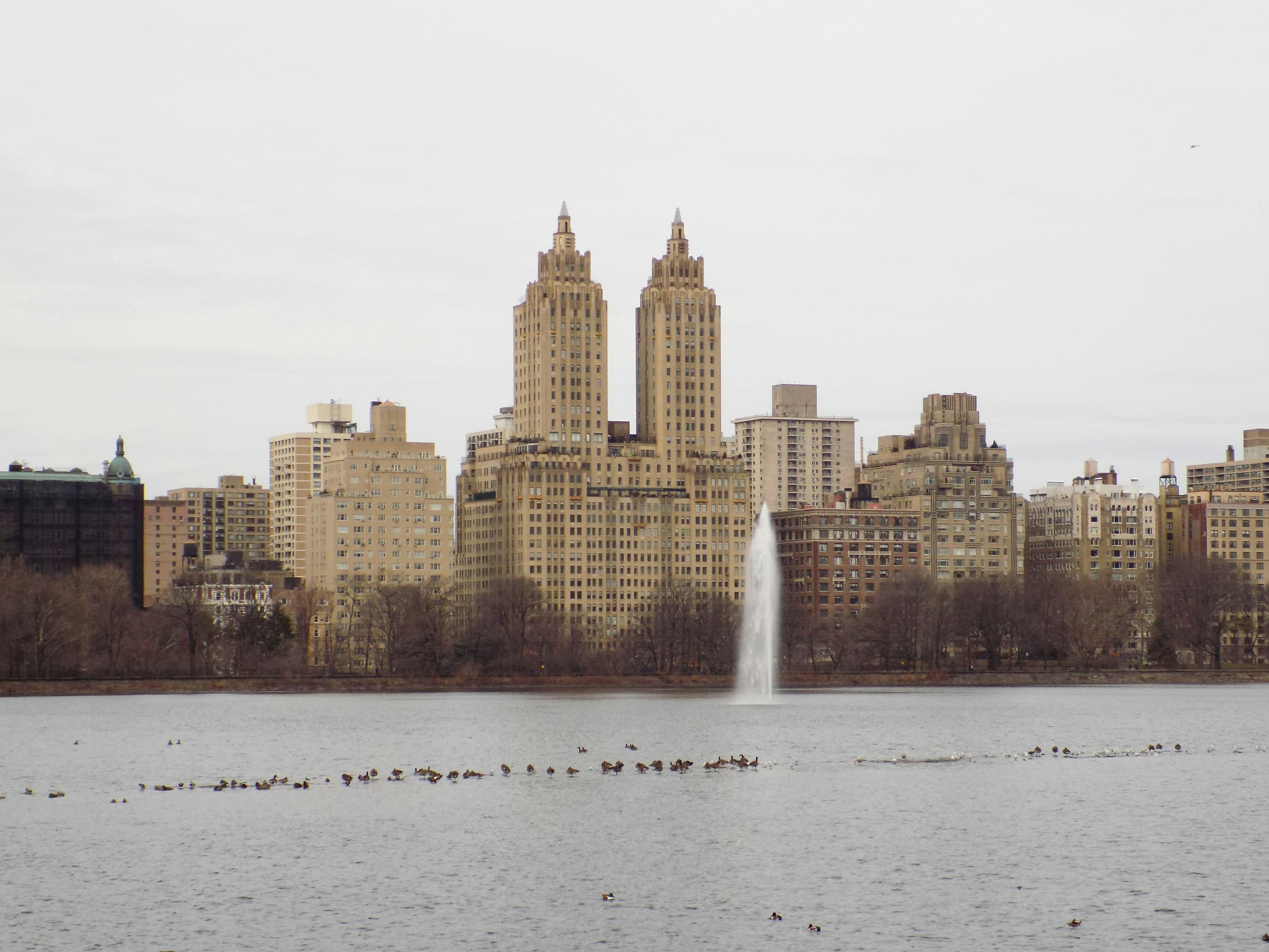 Historic buildings rise above a tranquil lake, with a fountain creating ripples in the water. Ducks swim peacefully along the shoreline.
