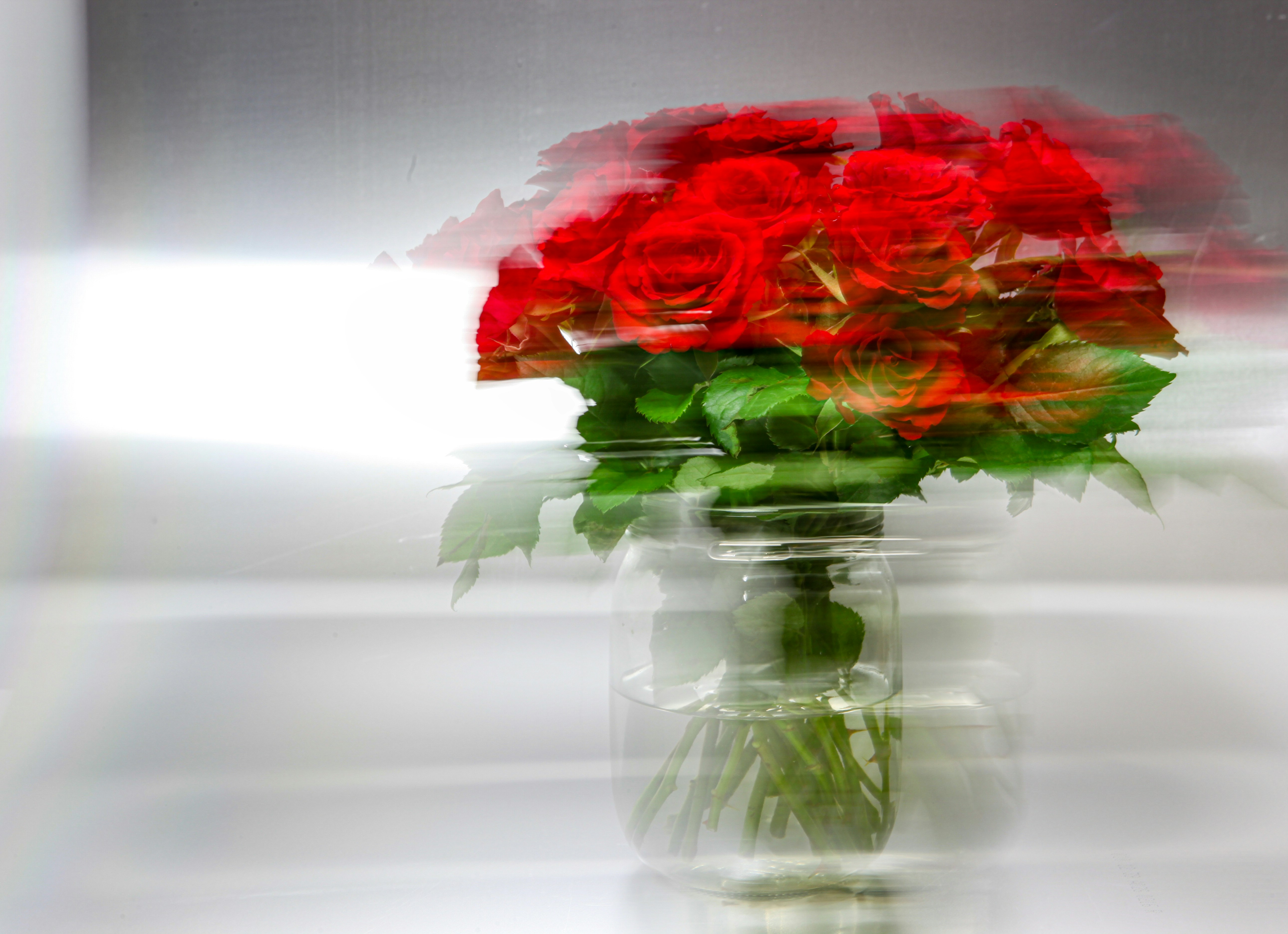 Crimson Bouquet Through a Glass Vase: a Motion-Blur Still Life