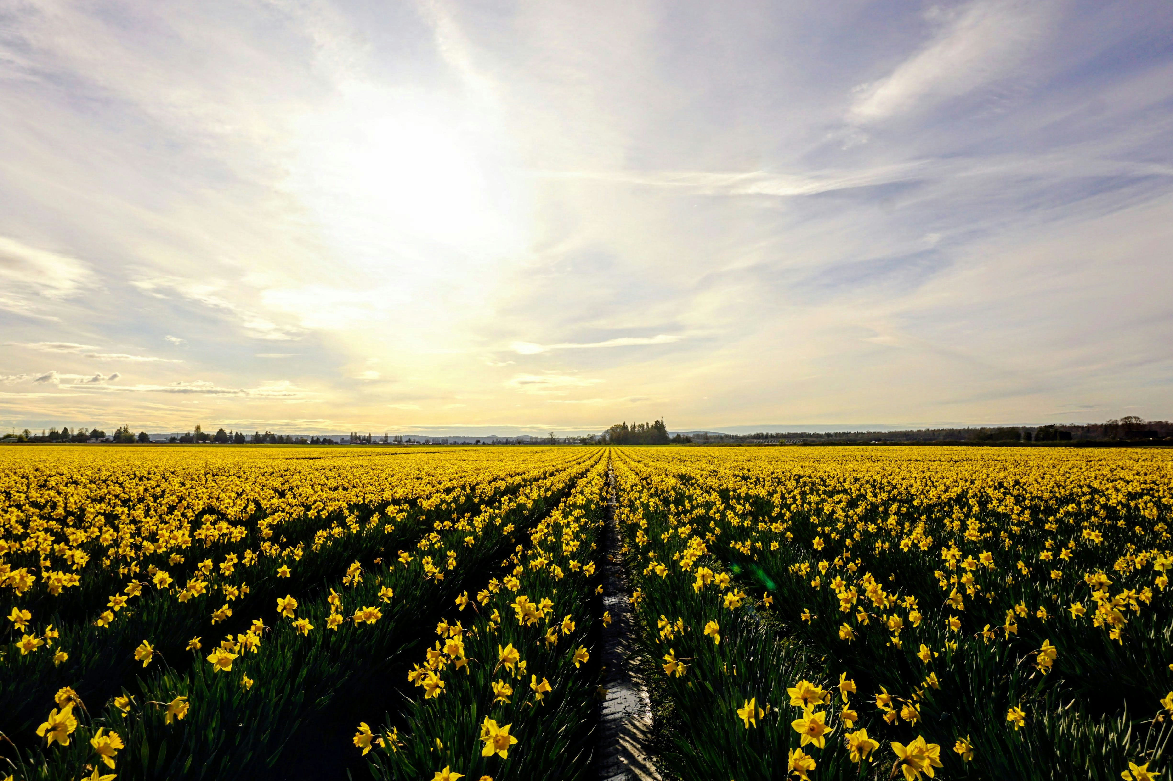 Madi Taskett (@taskett) | Unsplash Photo Community