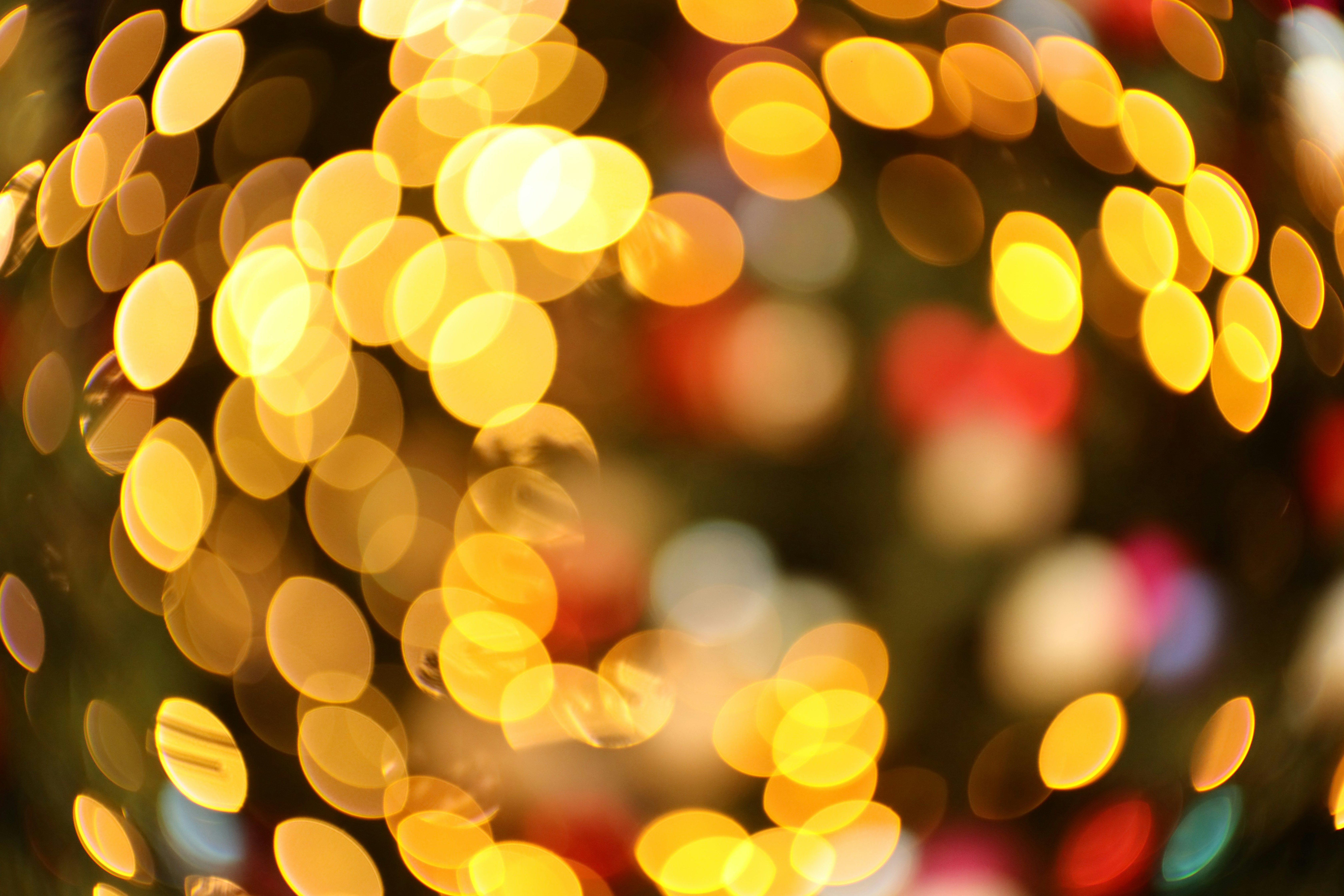 A vibrant array of blurred holiday lights creating a dreamy bokeh effect, evoking a sense of warmth and festivity.