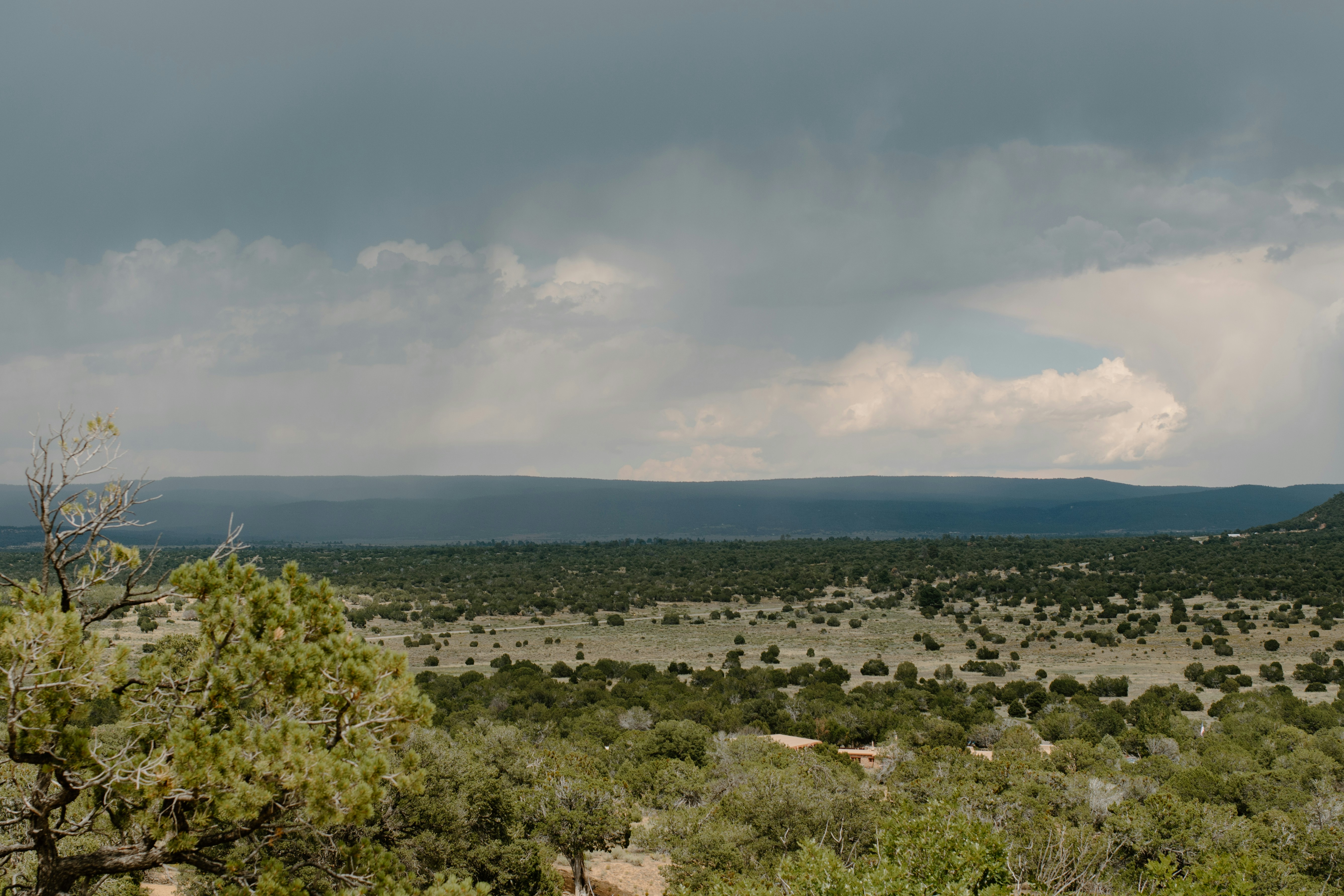 Expansive view of a high desert landscape with rolling hills and scattered vegetation under a moody sky.