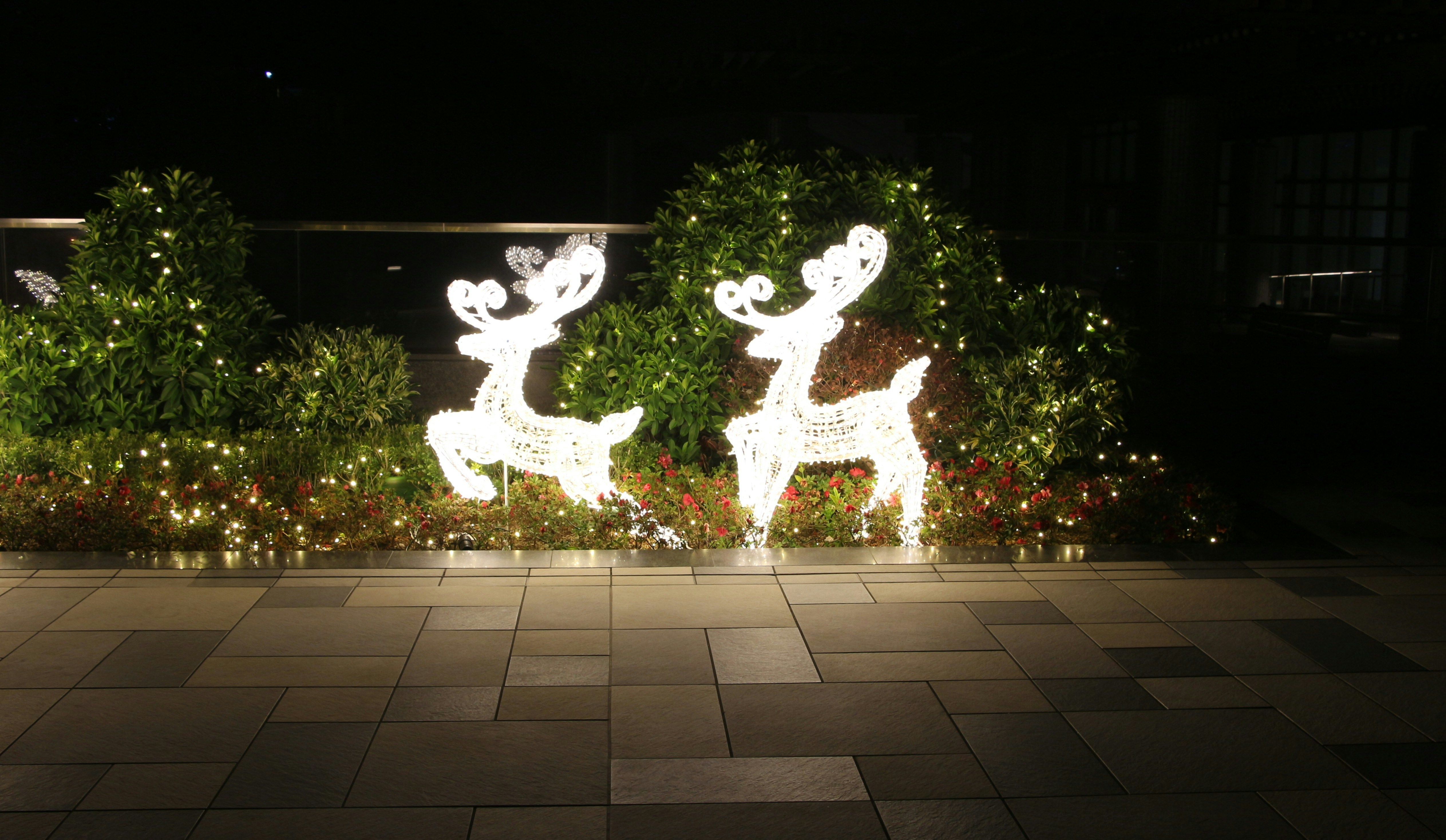 Lights | 16 best free light, hong kong, outdoor and lighting photos on ...