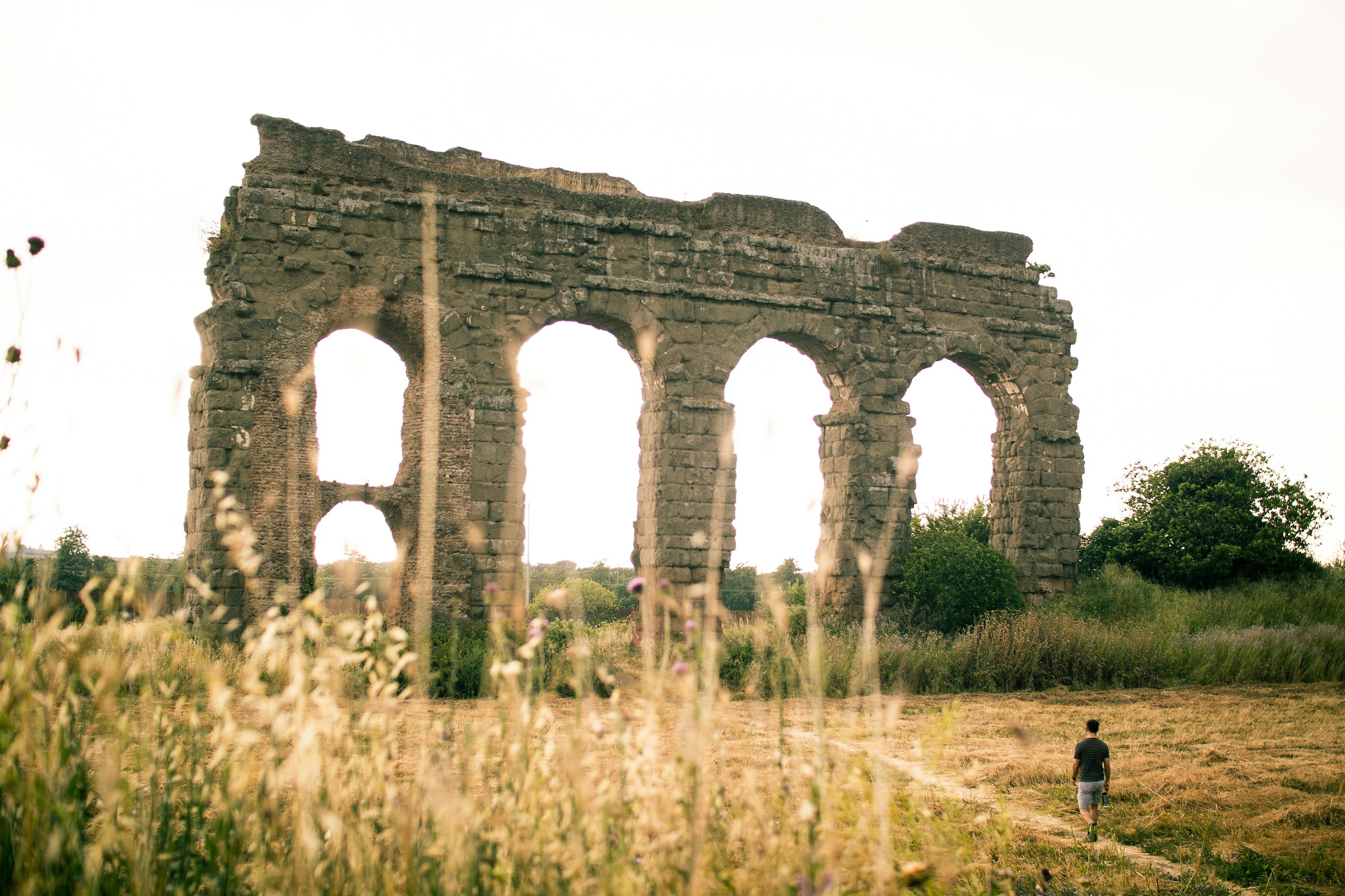 People walking on green grass field during daytime photo – Free Rome ...