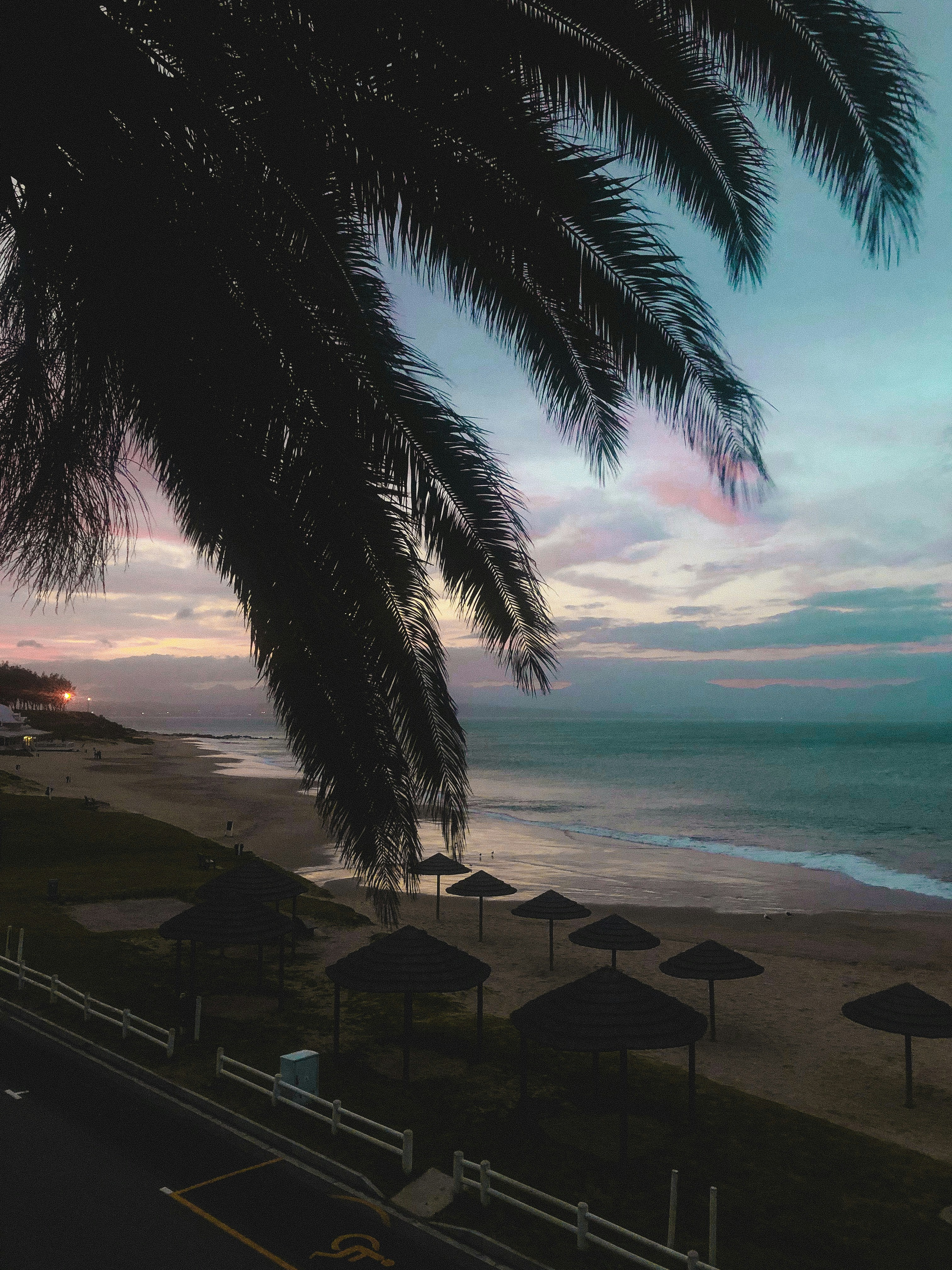 Palm-Fringed Sunset: A Quiet Beach Scene Framed by Tropical Canopy