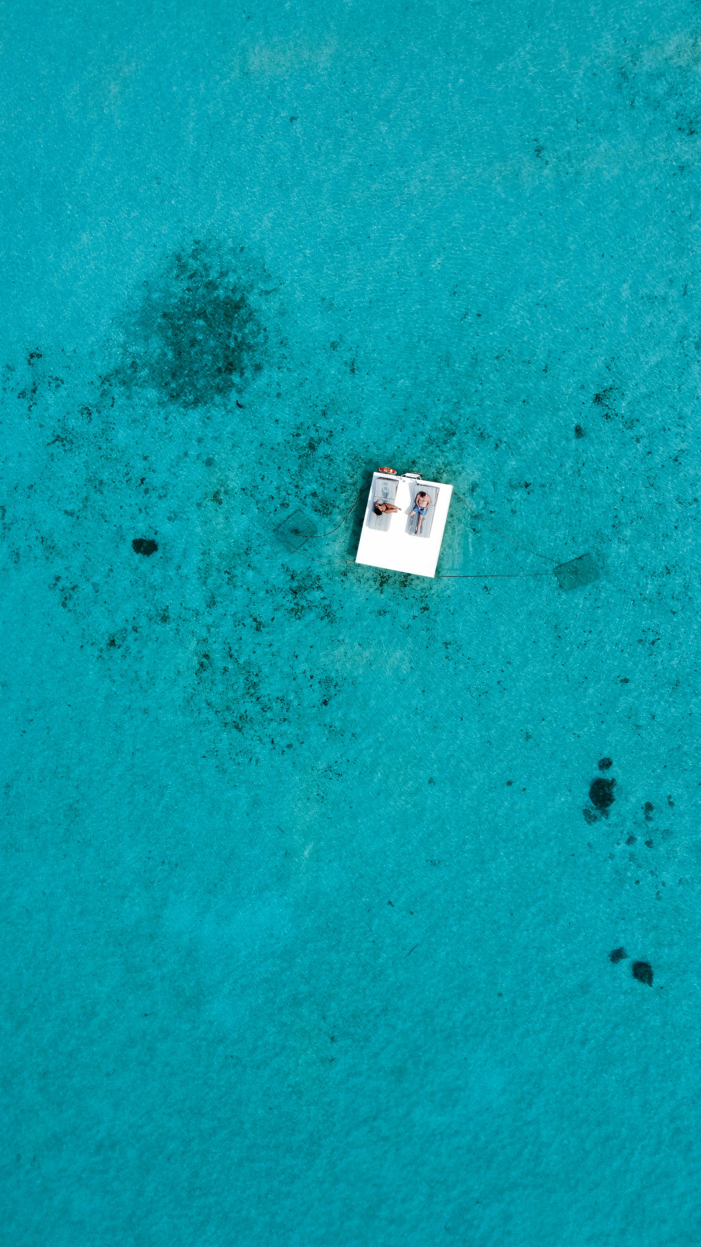Scott Taylor (@iamscotttaylor) | Komunitas Foto Unsplash