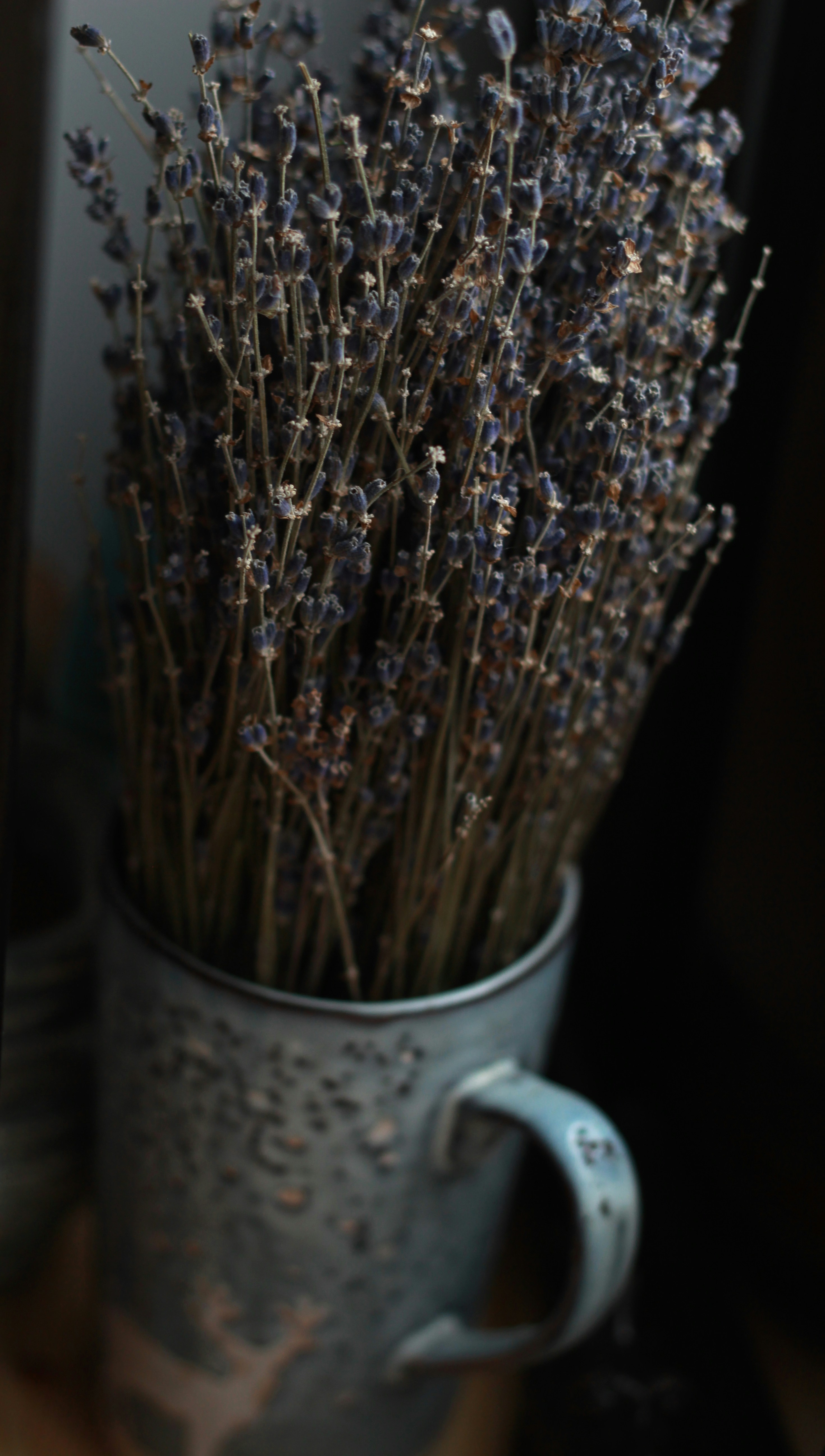 Dusty Lavender in a Weathered Tin Mug, Quietly Lit