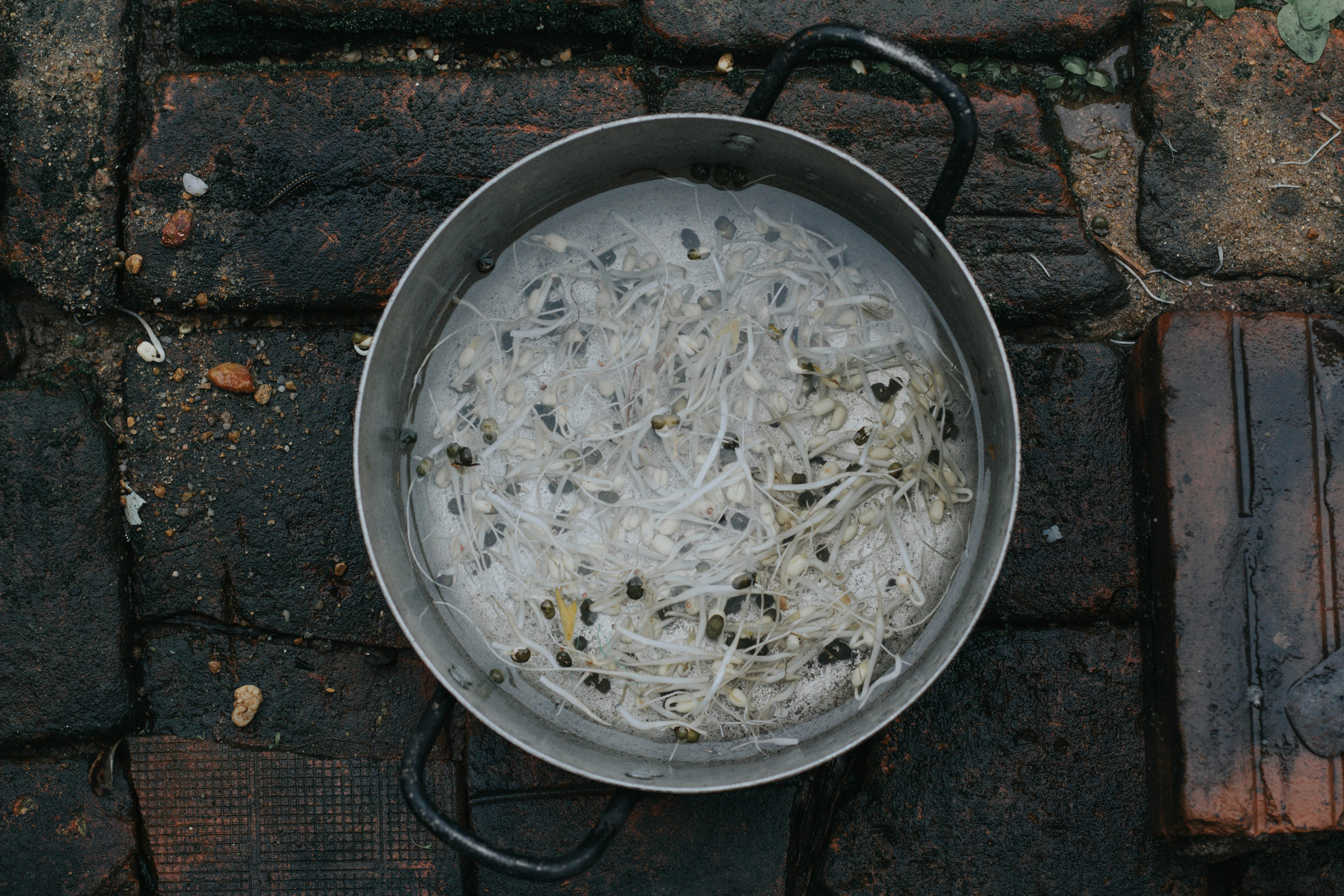 white rice in stainless steel bowl