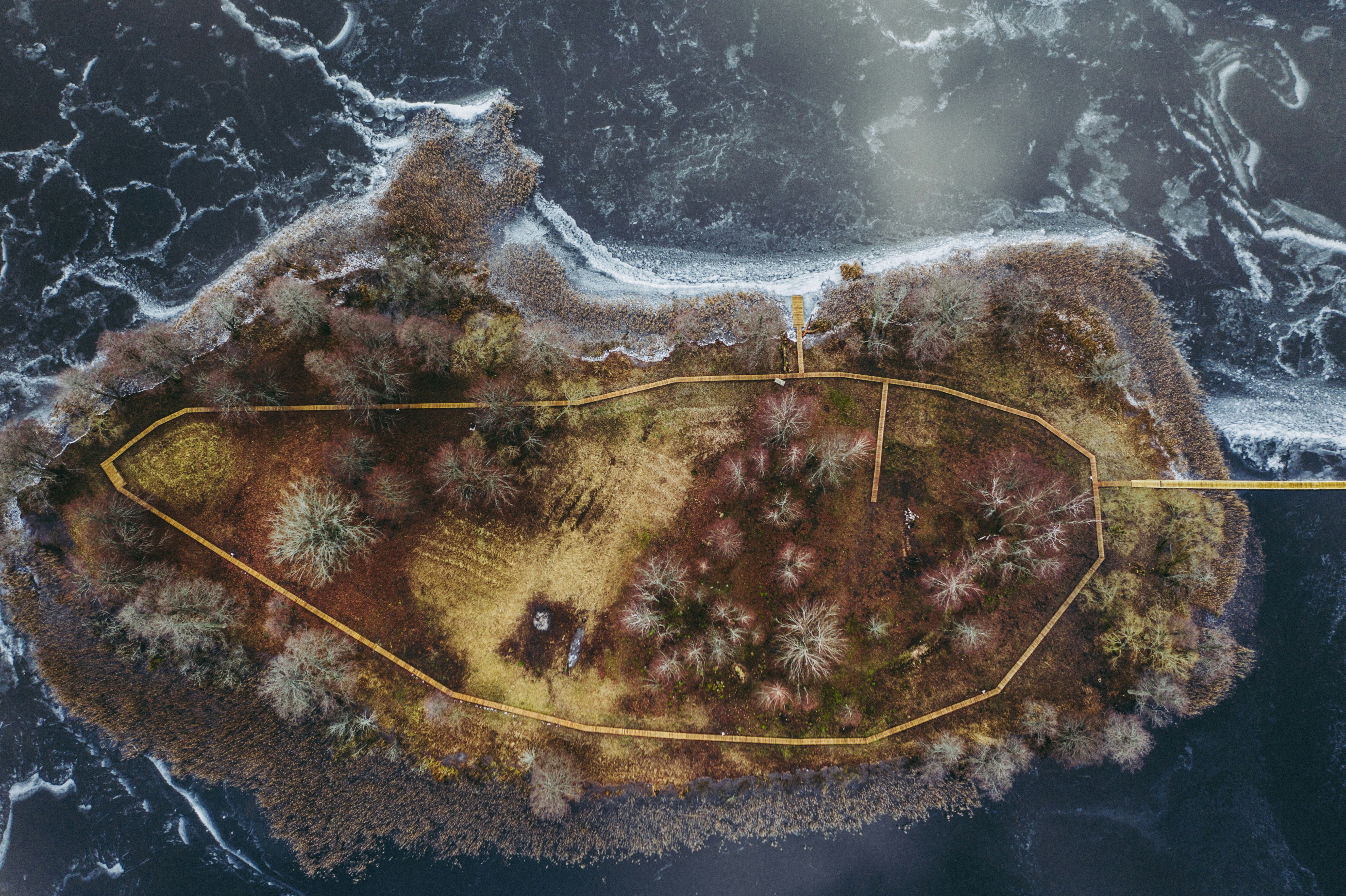 Yandex Family Nudest Colony Pictures | Download Free Images on Unsplash