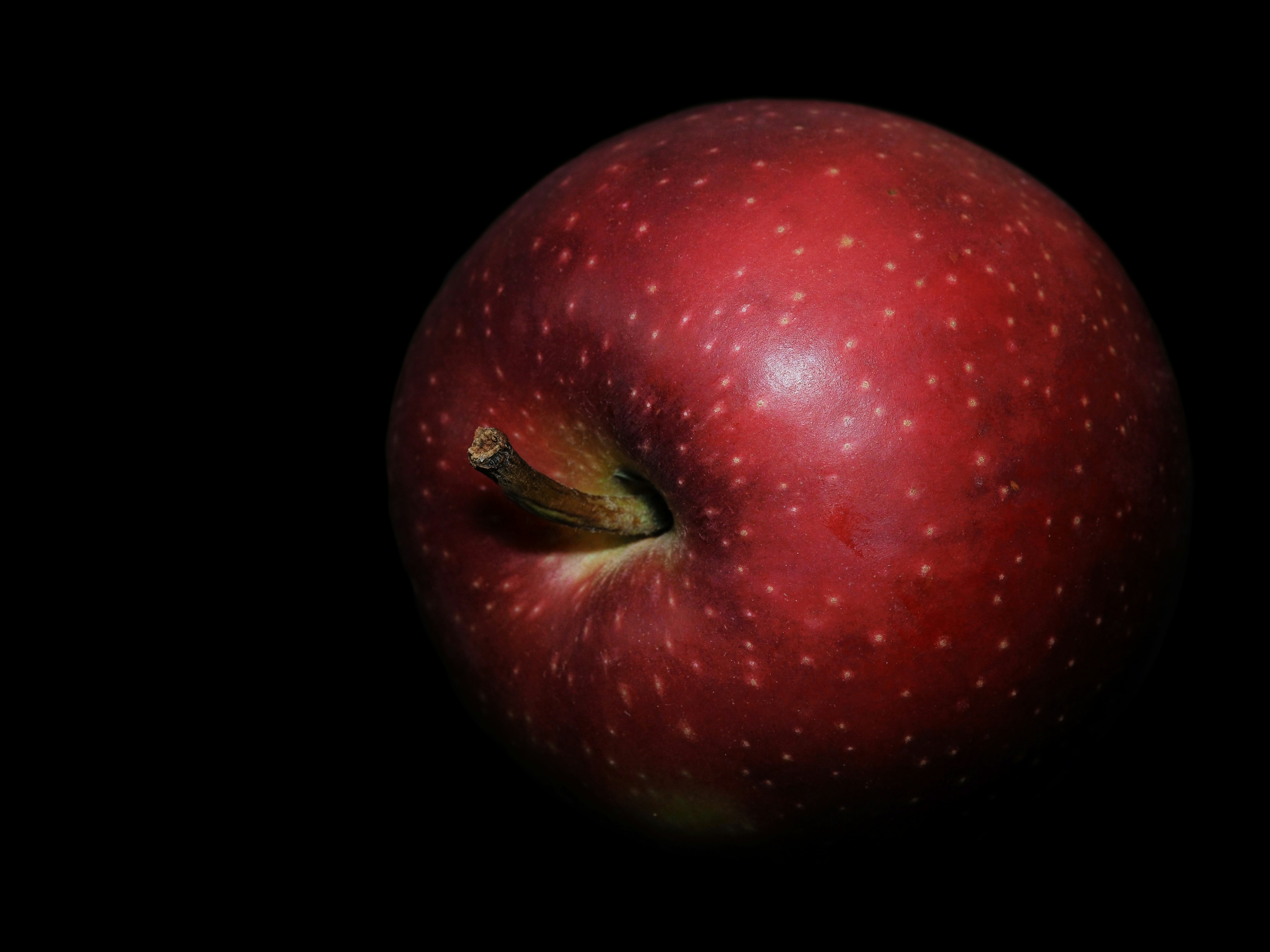 Red Apple Pictures | Download Free Images on Unsplash