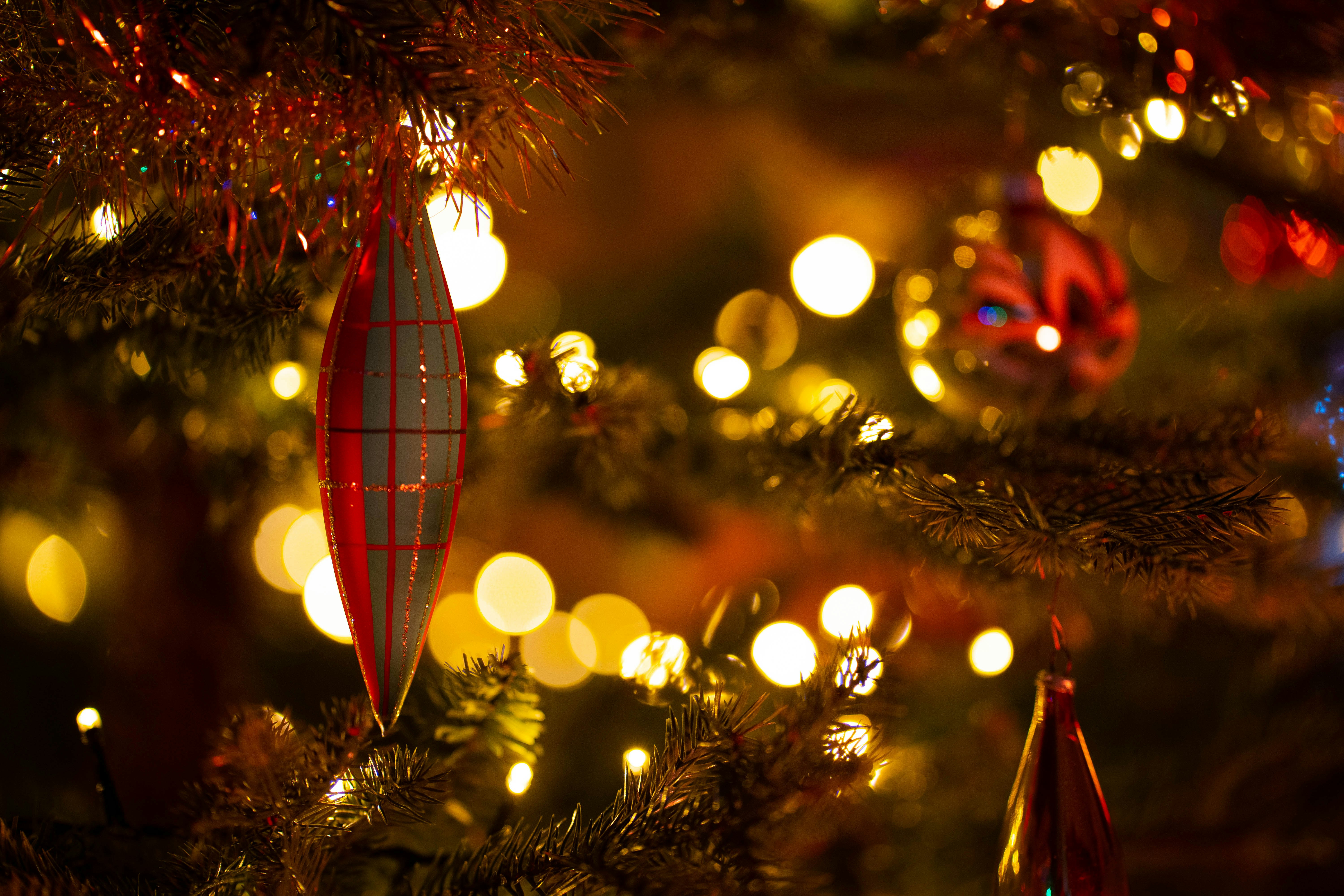 Crimson Teardrop Ornament Illuminating Velvet Bokeh on a Holiday Tree