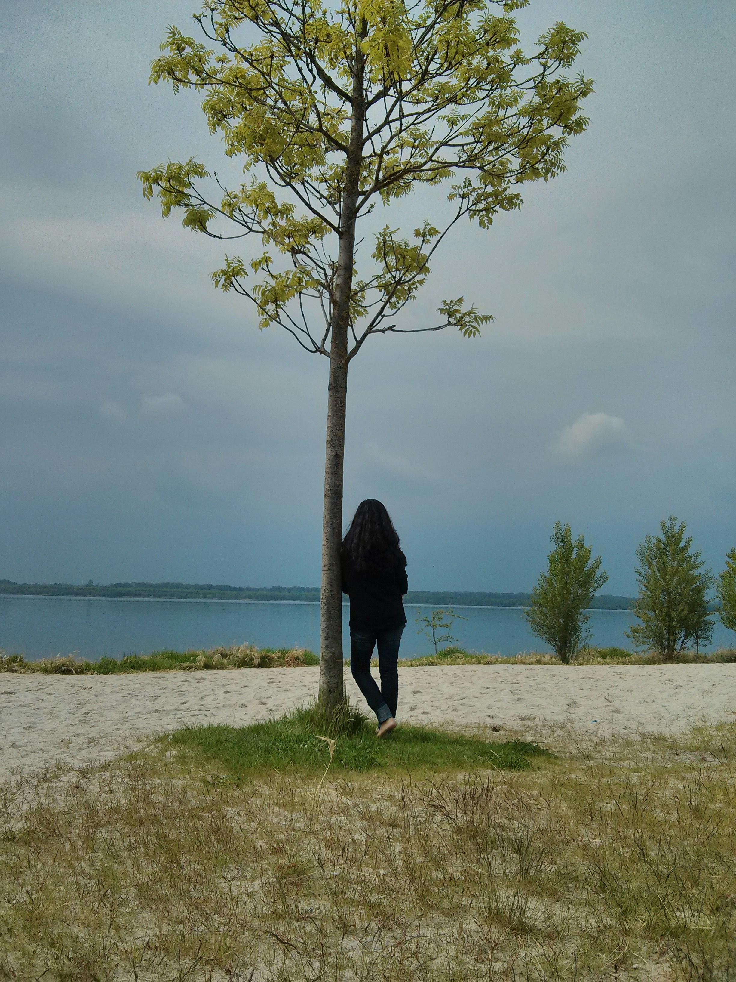 Photograph of a person standing behind a slender tree on a sandy lakeshore, gazing toward the calm water.