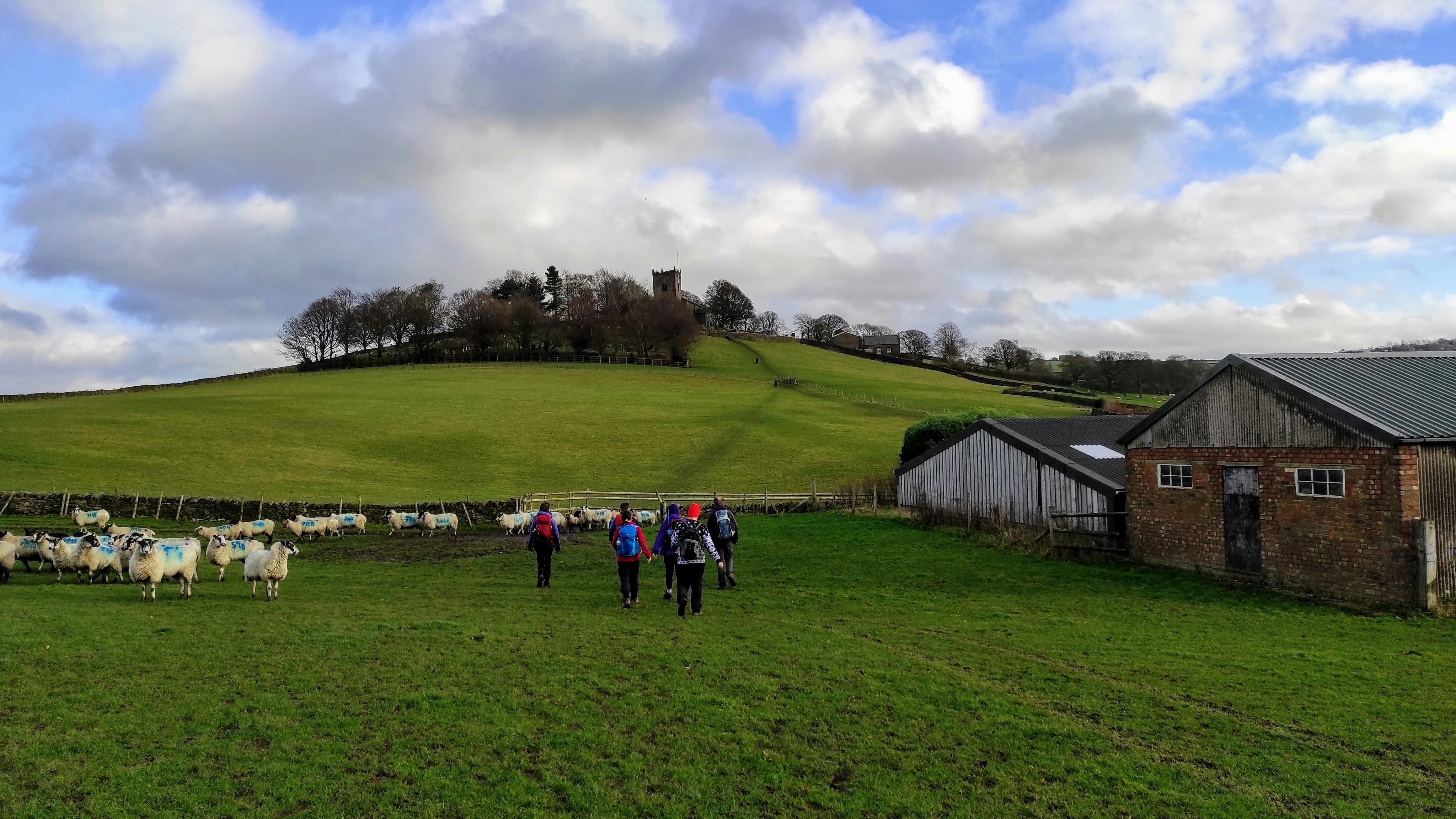 people standing on green grass field during daytime