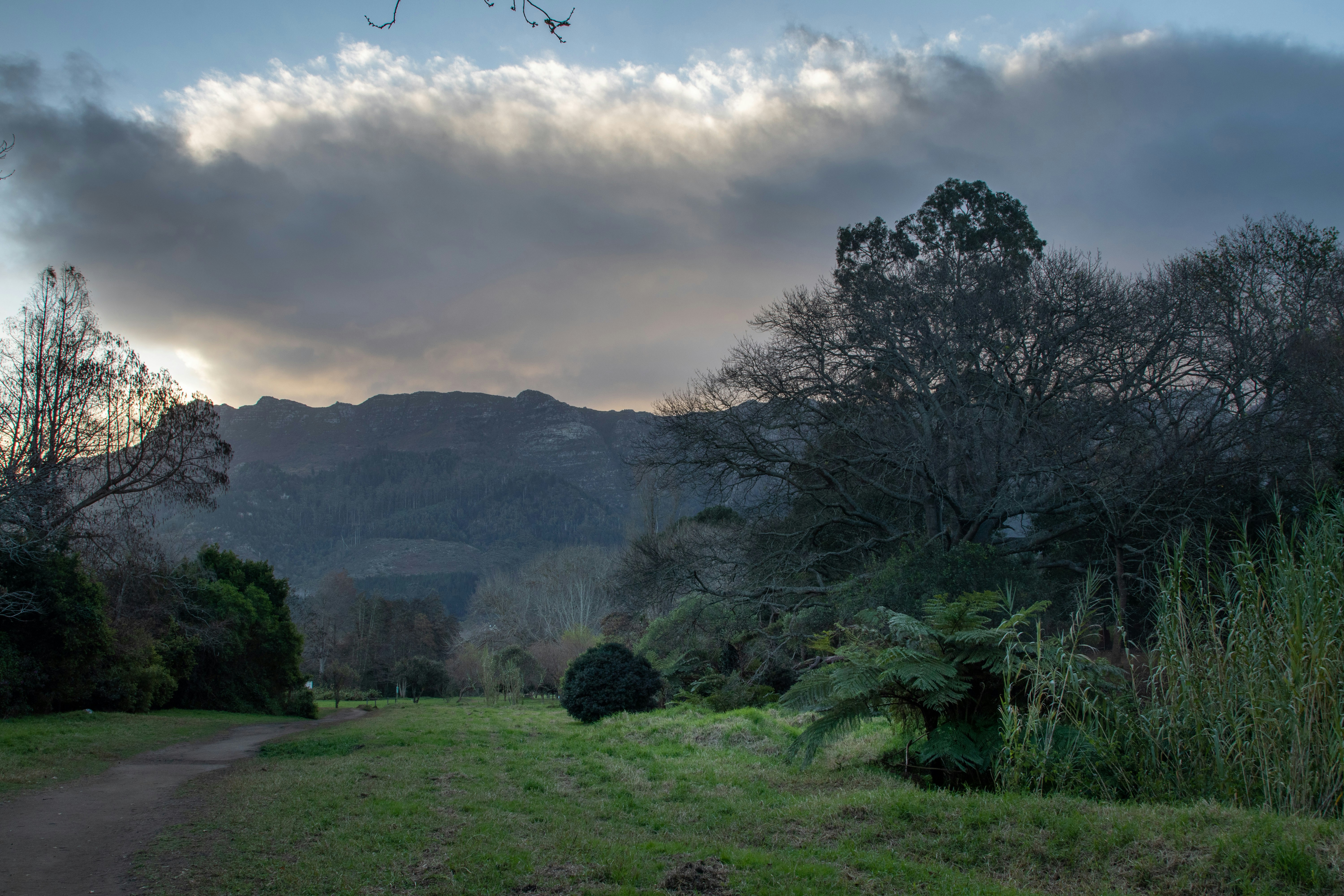A tranquil landscape featuring a path leading towards distant mountains, framed by trees and lush vegetation under a cloudy sky.