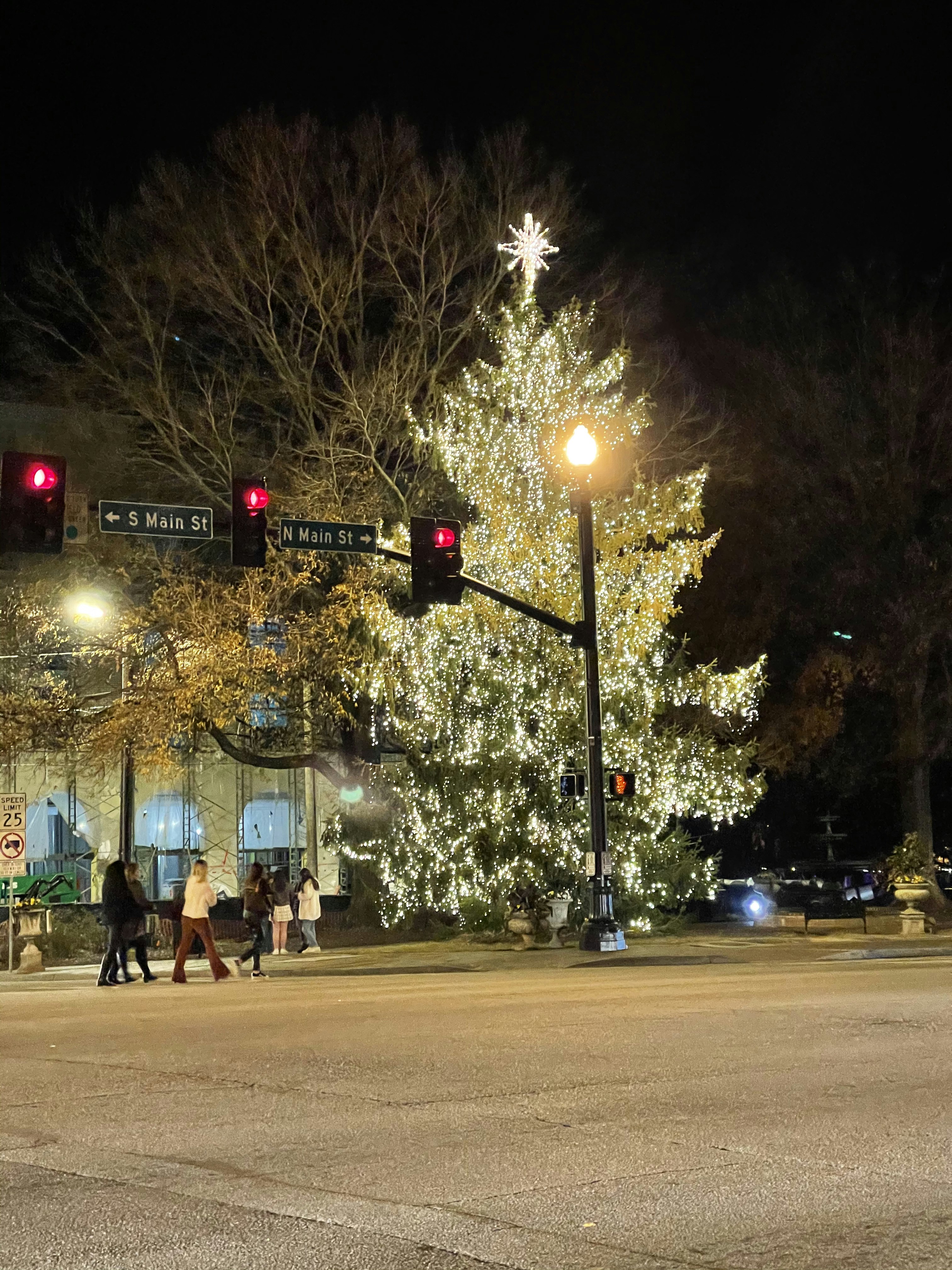 A group of people walking across a street next to a christmas tree ...