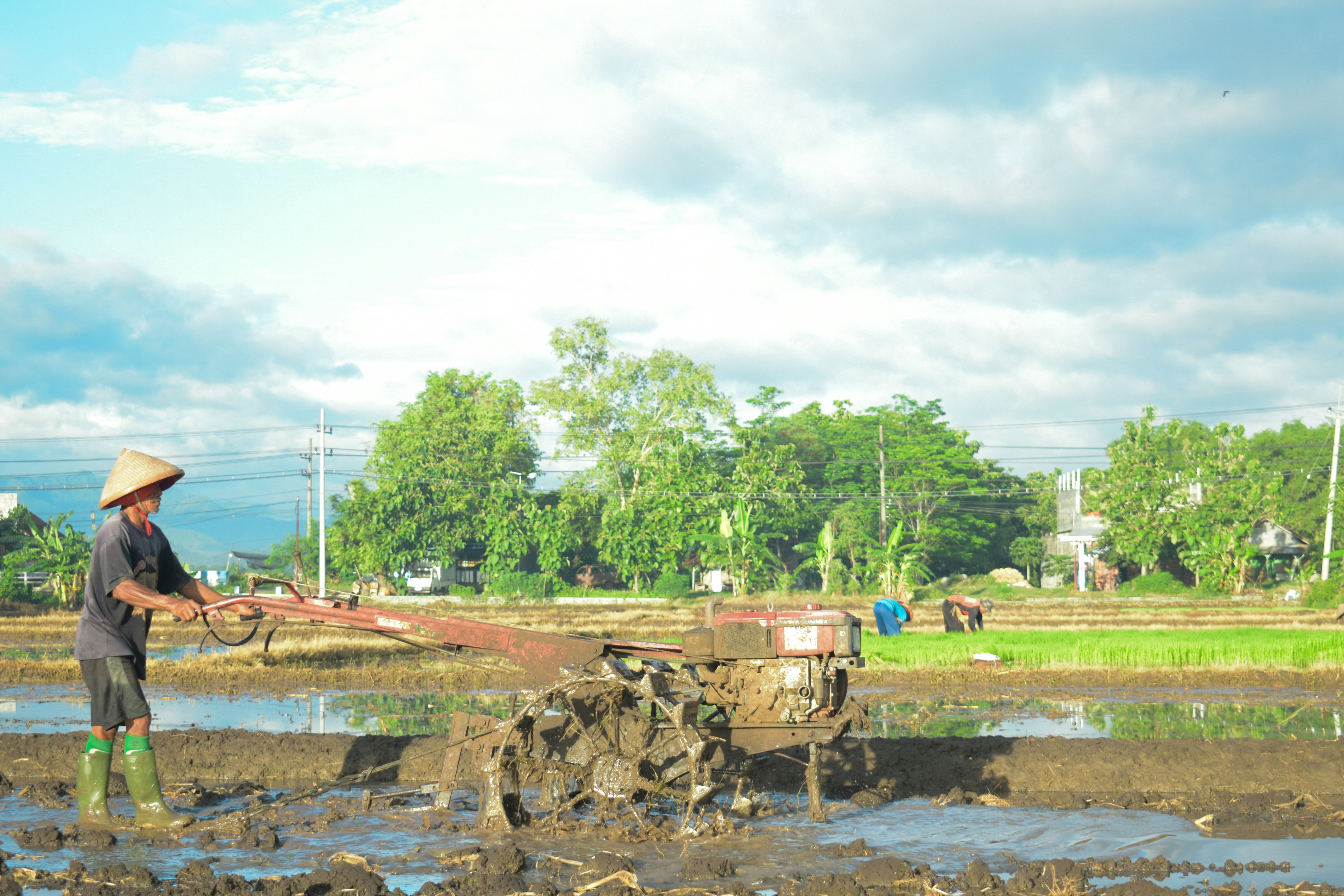 Mud-Splashed Fieldwork: A Conical-Hat Farmer Tames a Flooded Plow