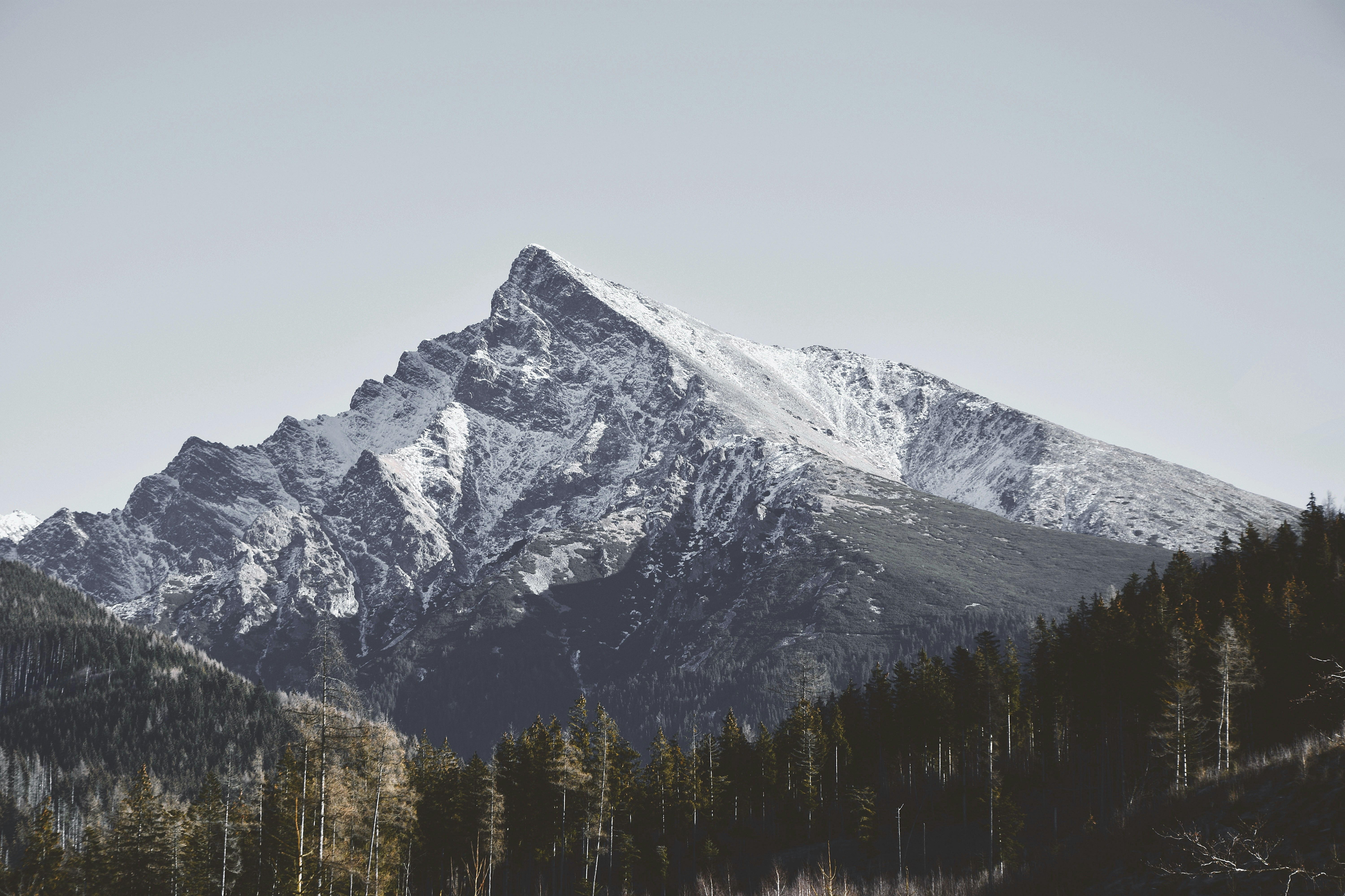 Needle Peak Crowned by Snow Over a Timbered Horizon