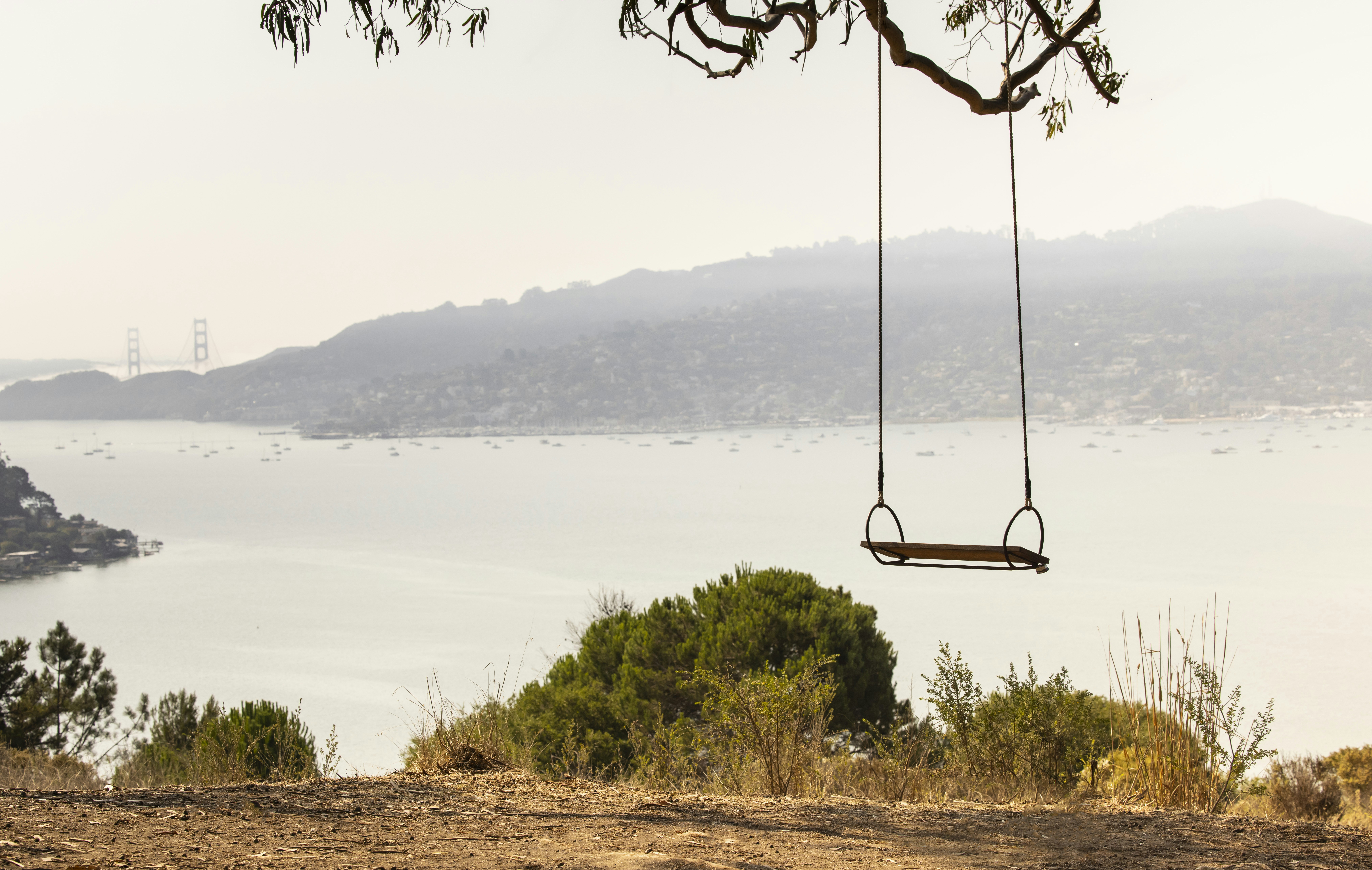 Brown wooden swing on green grass field near body of water during ...