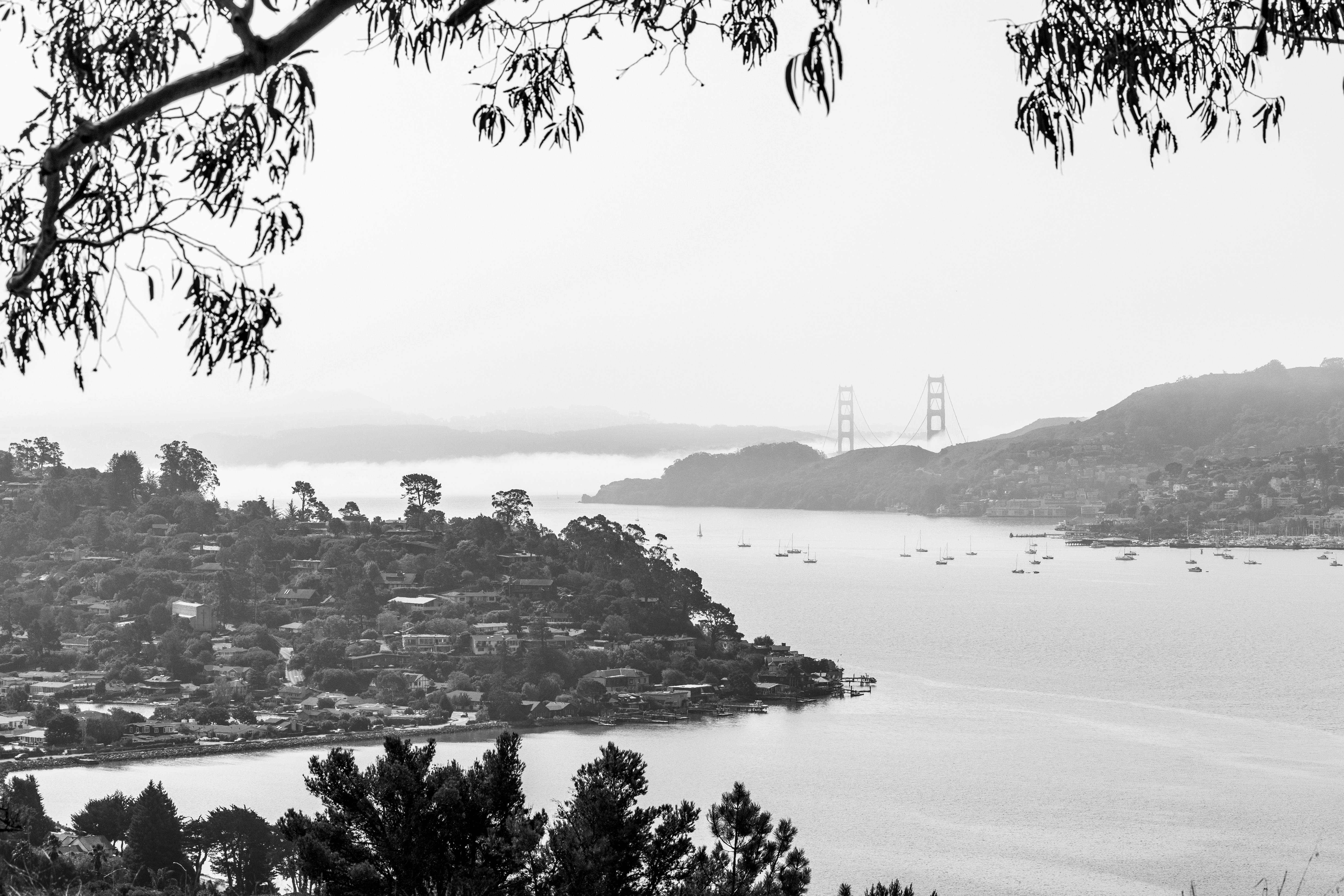 Grayscale photo of body of water near mountain photo – Free White Image ...