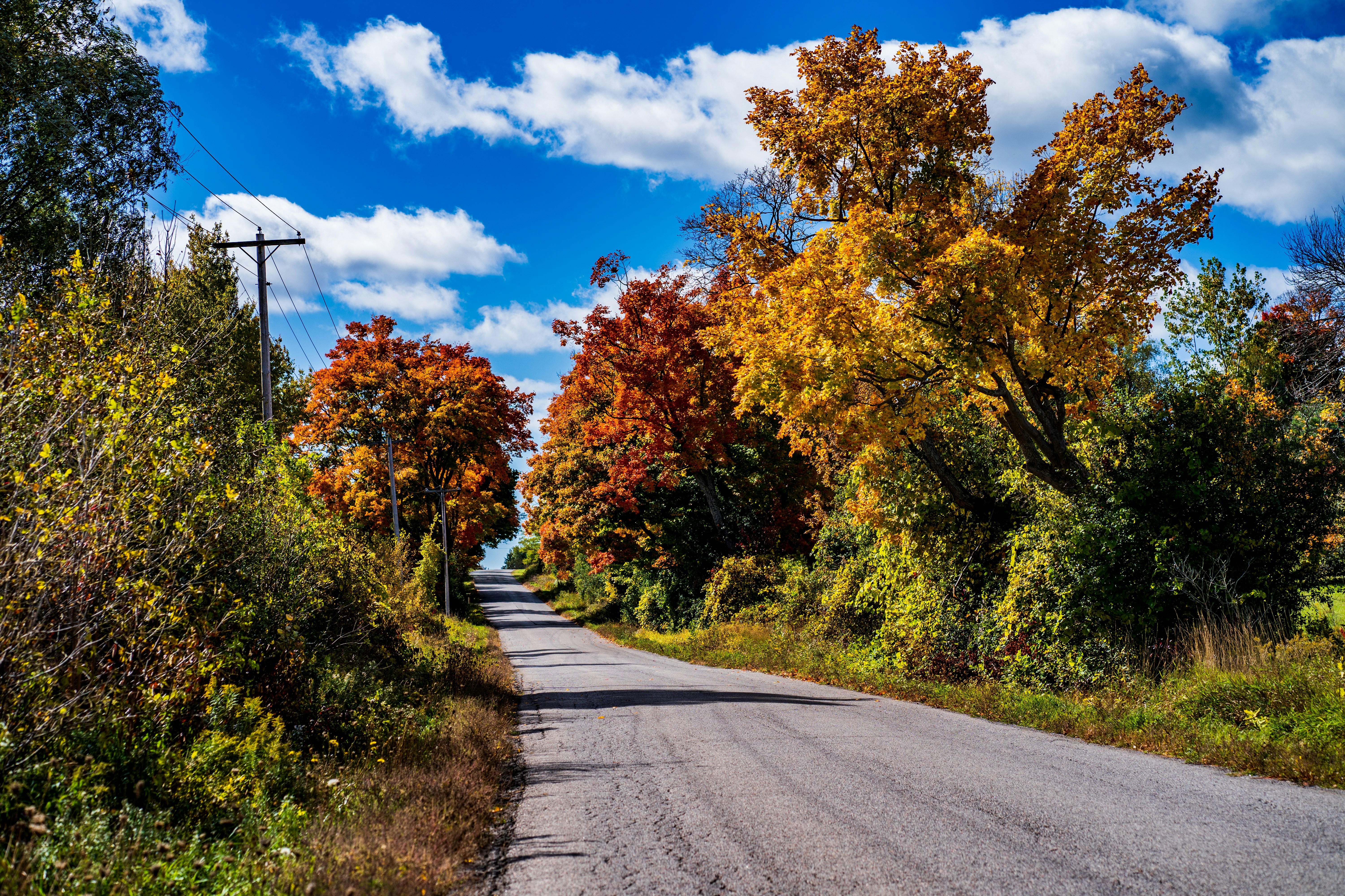 Sunlit Autumn Lane: A Quiet Road Through Ember and Gold