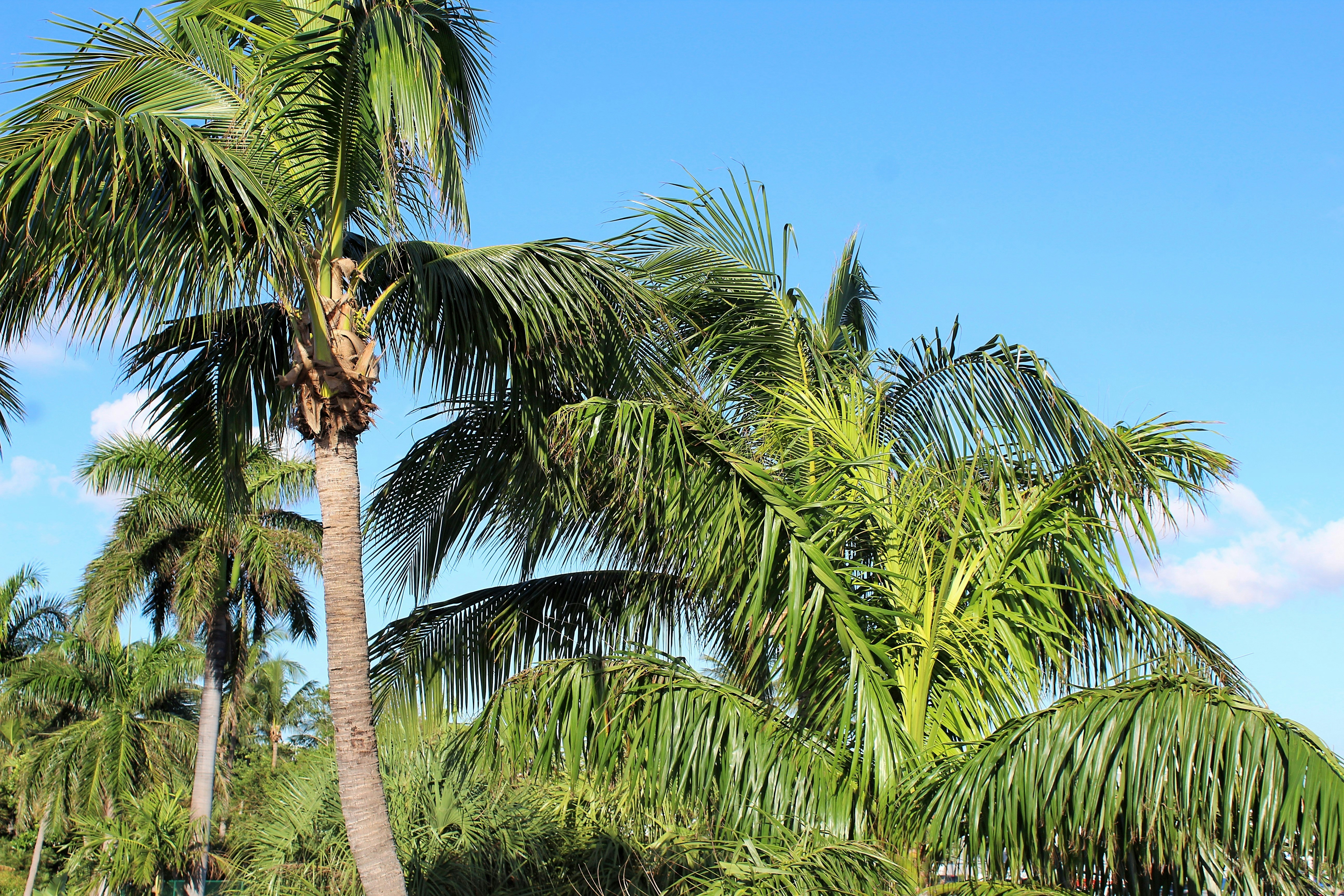 Joseph Kellner (@jkellner) | Unsplash Photo Community