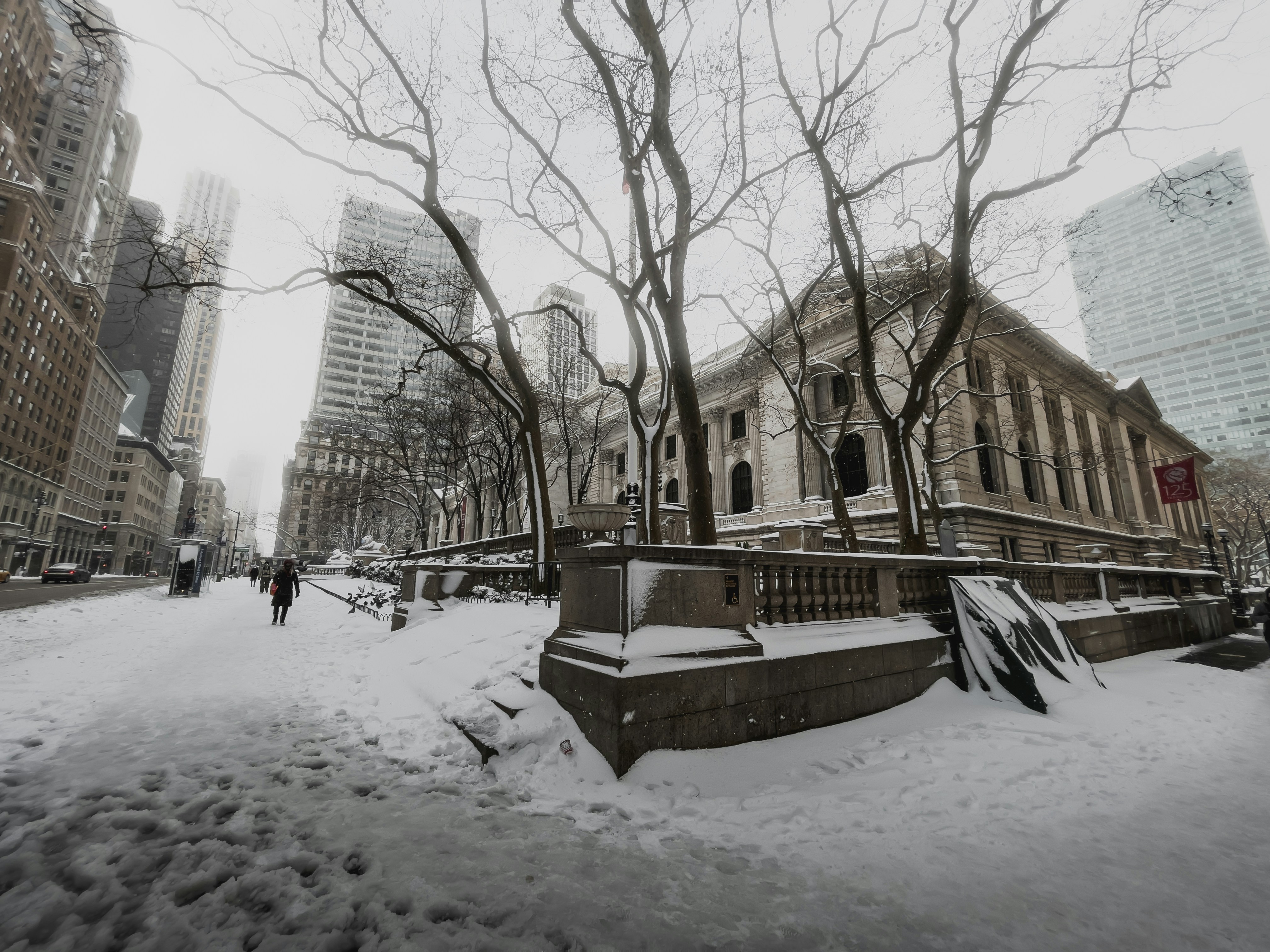 Snowbound Promenade: A Historic Facade Framed by Bare Winter Trees