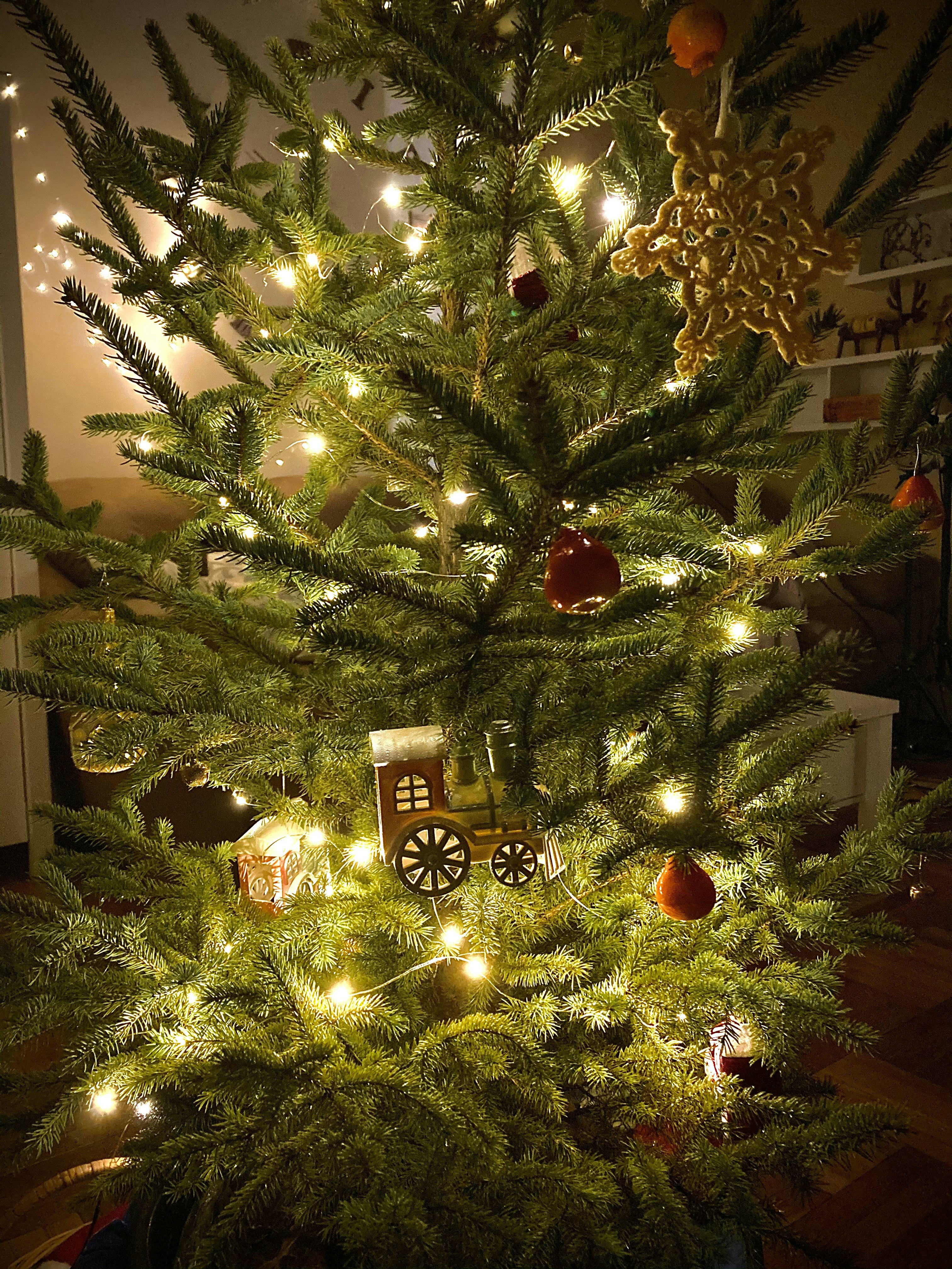 Green christmas tree with red baubles and string lights photo – Free ...