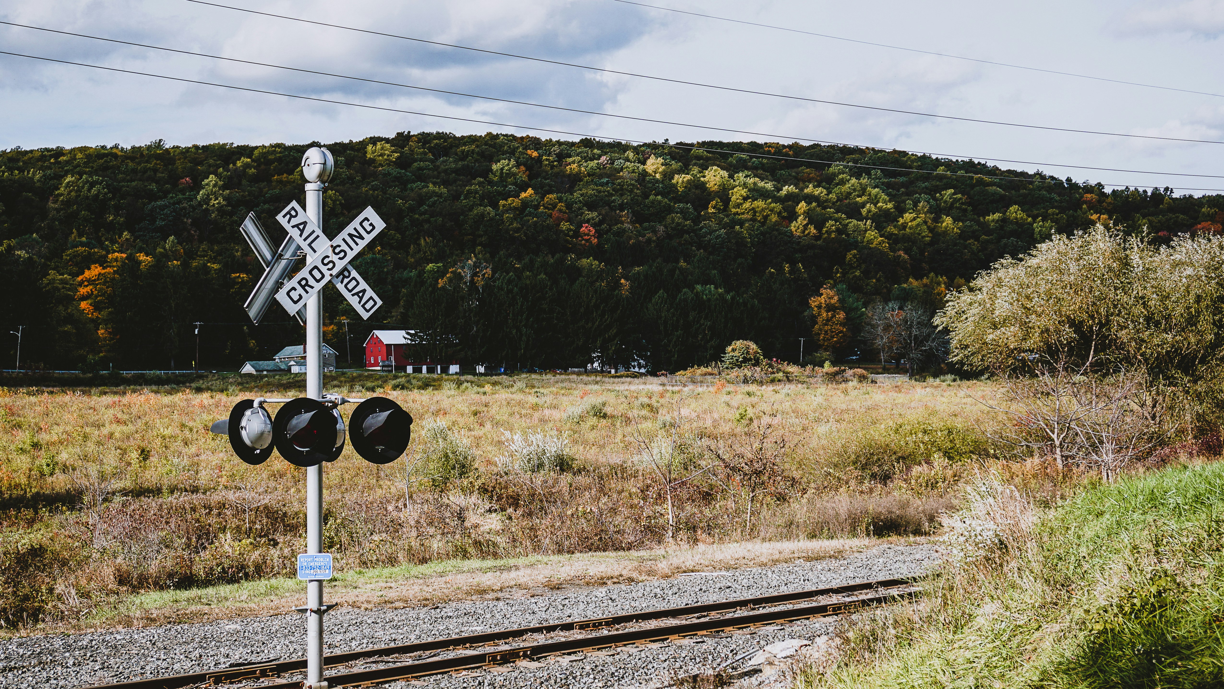 Tracks of Time: A Journey Through Autumn's Palette