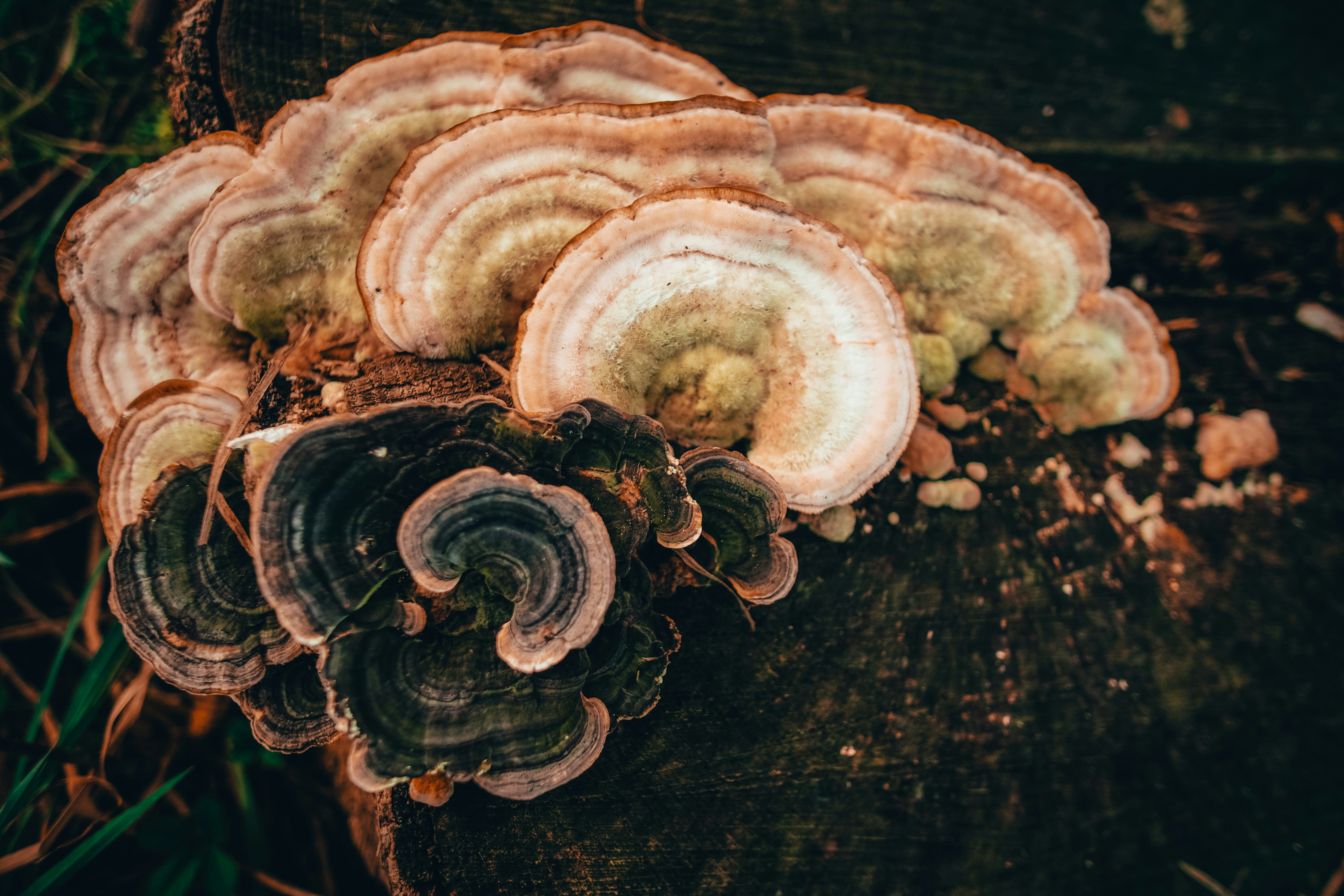 Sample photo from Fujifilm X-E3