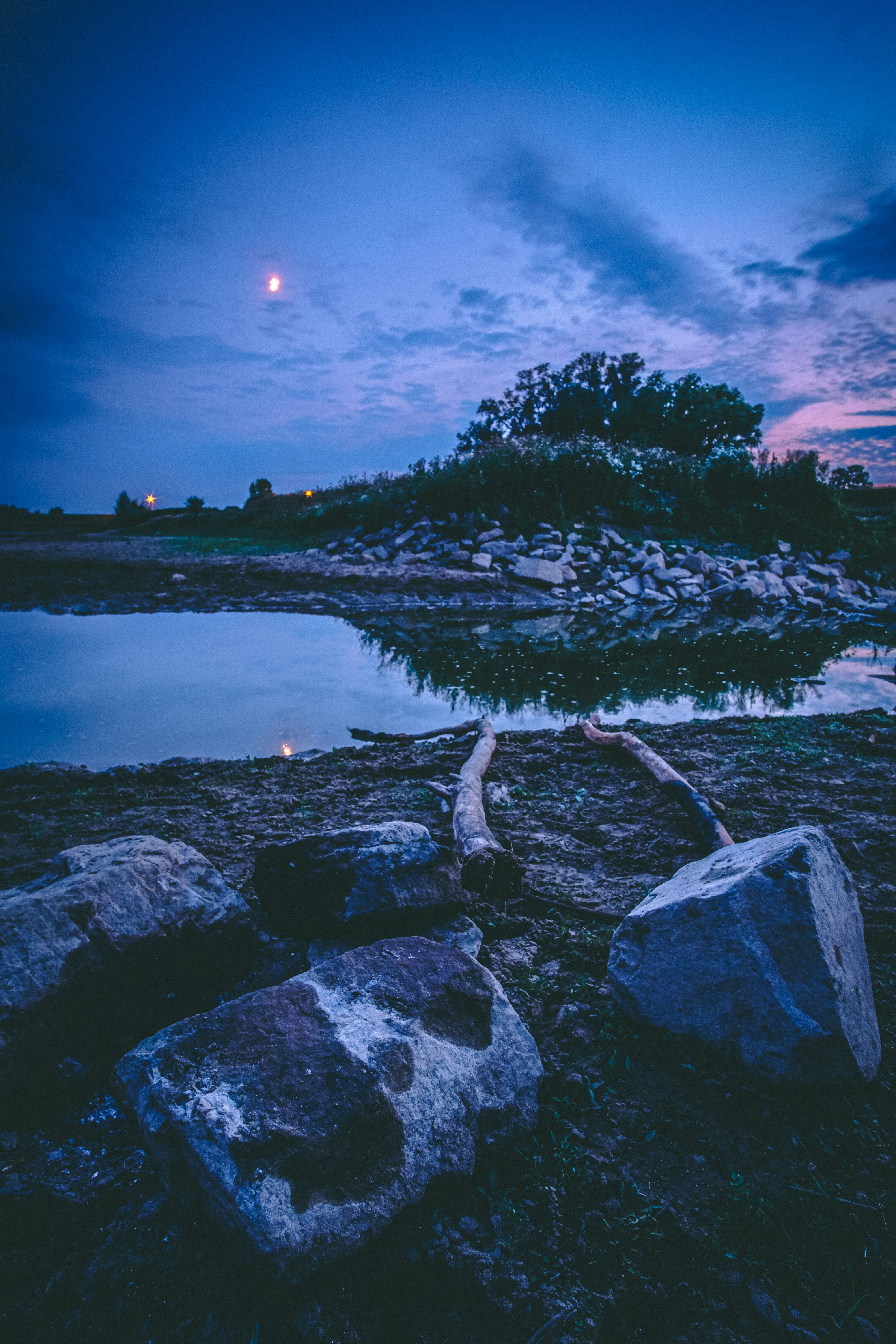 Green trees near body of water during night time photo – Free Wallpaper ...