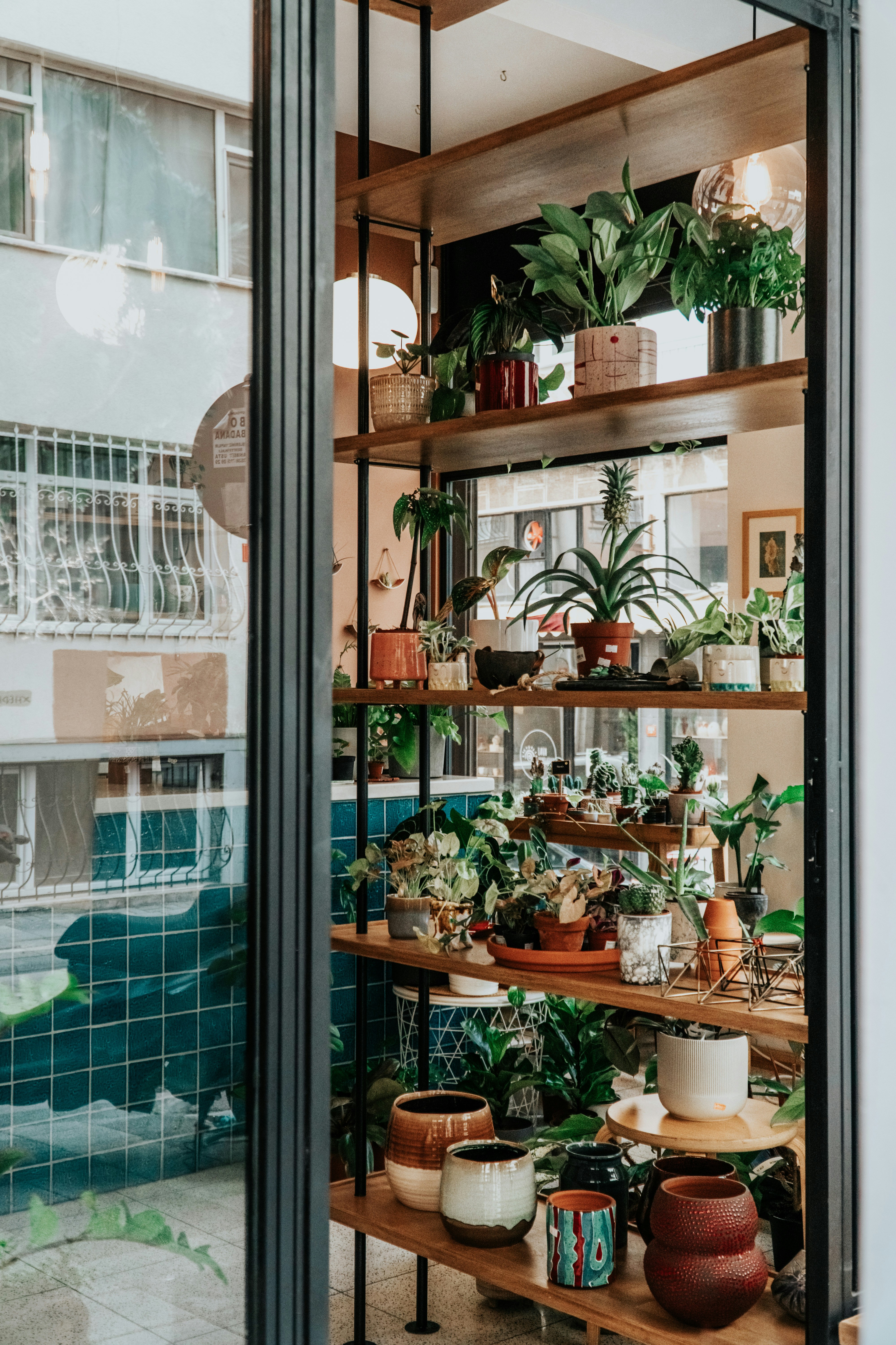 Botanic Pictures | Download Free Images on Unsplash