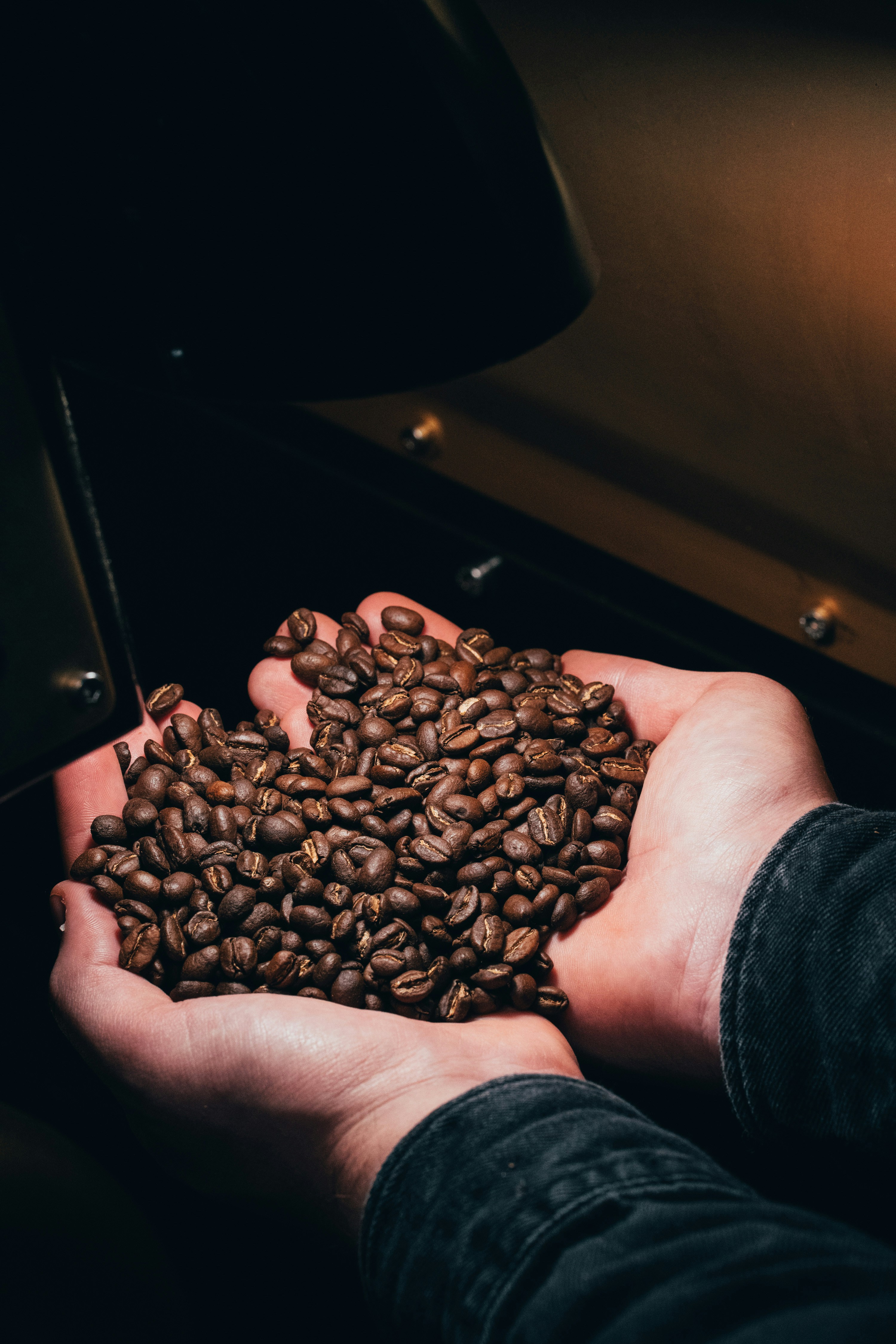 Hands cradling freshly roasted coffee beans against a warm backdrop, highlighting the tactile beauty of the roasting process.