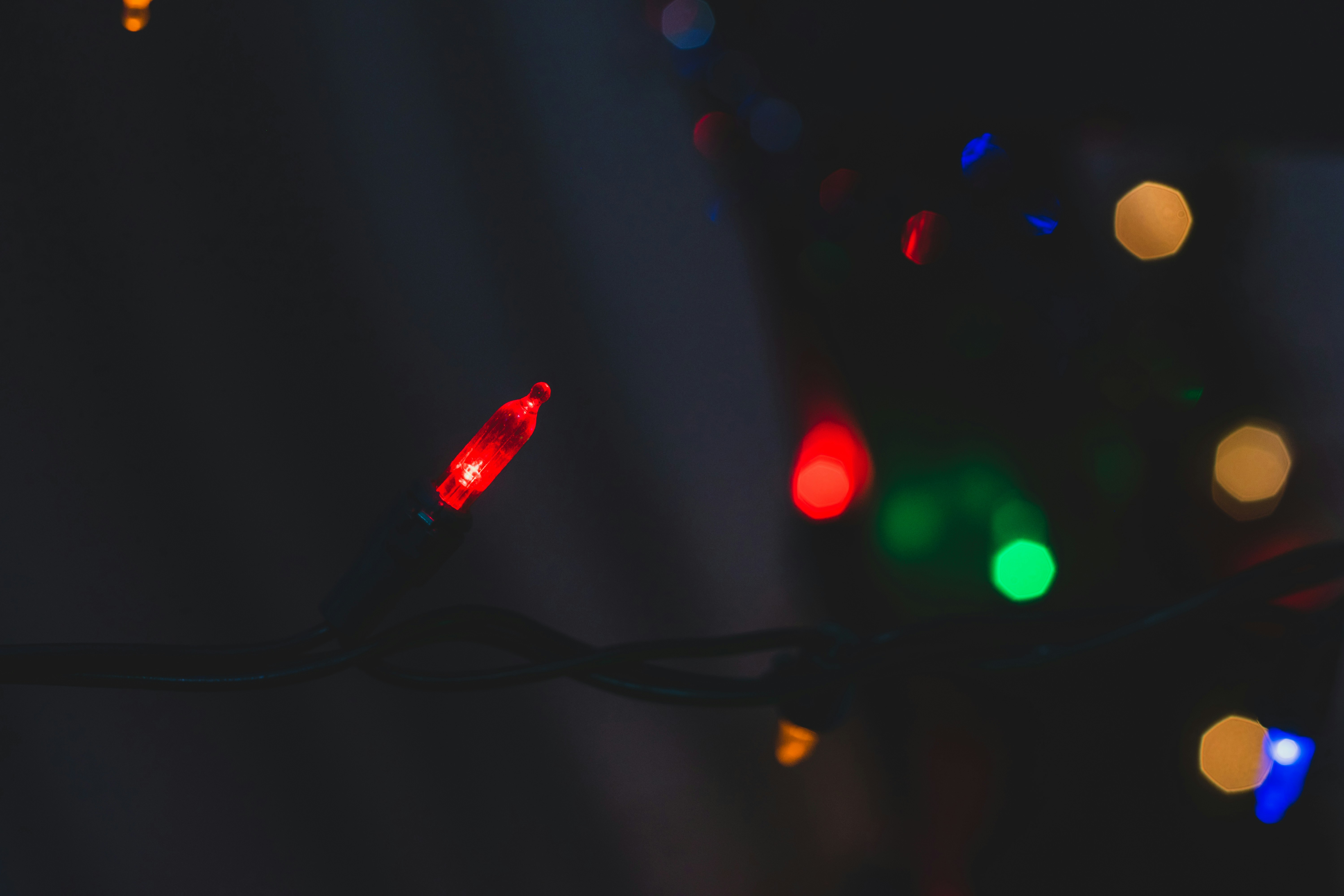 Crimson Spark Amid Velvet Holiday Lights