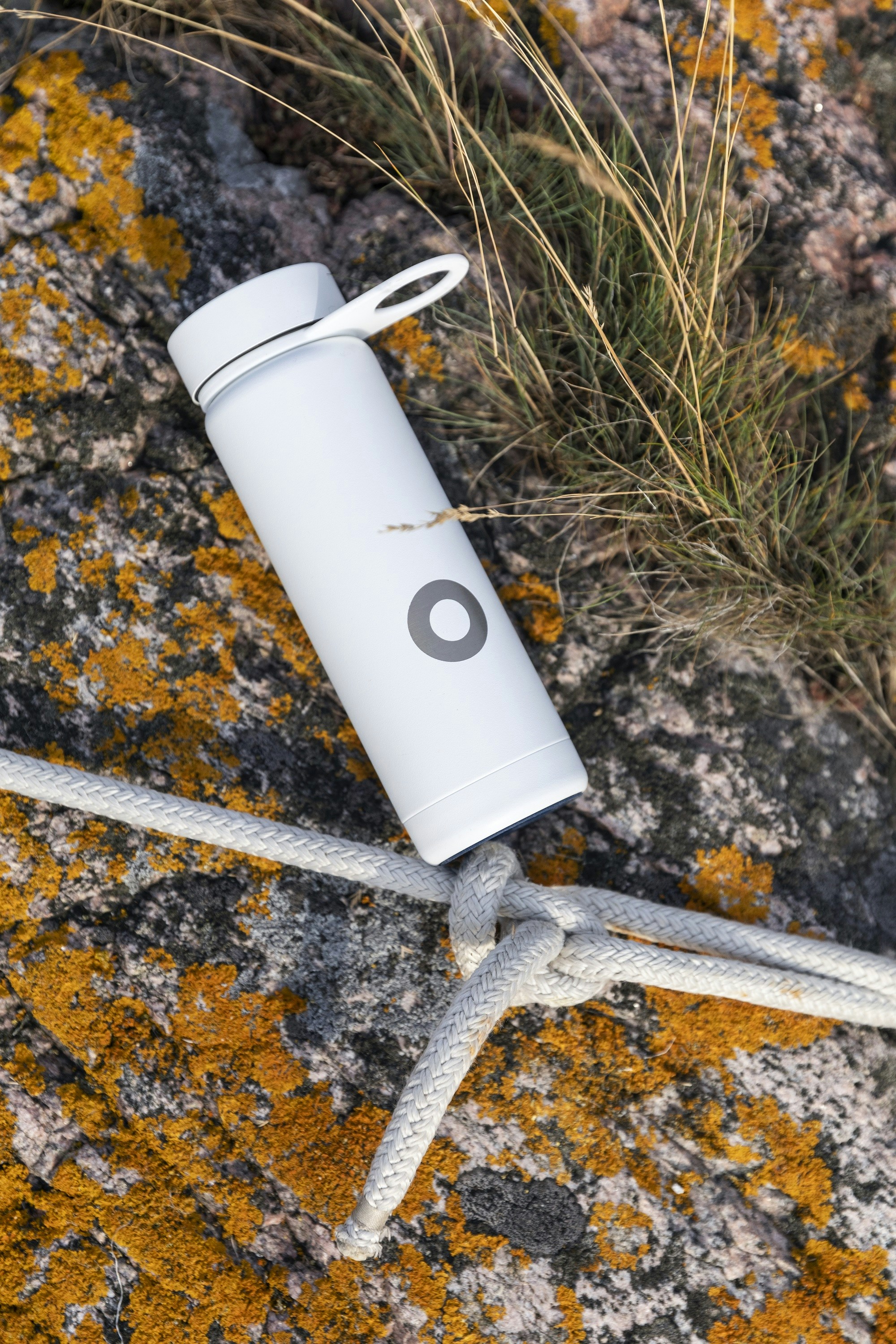 Looped White Bottle on Lichen-Kissed Rock: A Quiet Study in Texture and Tether