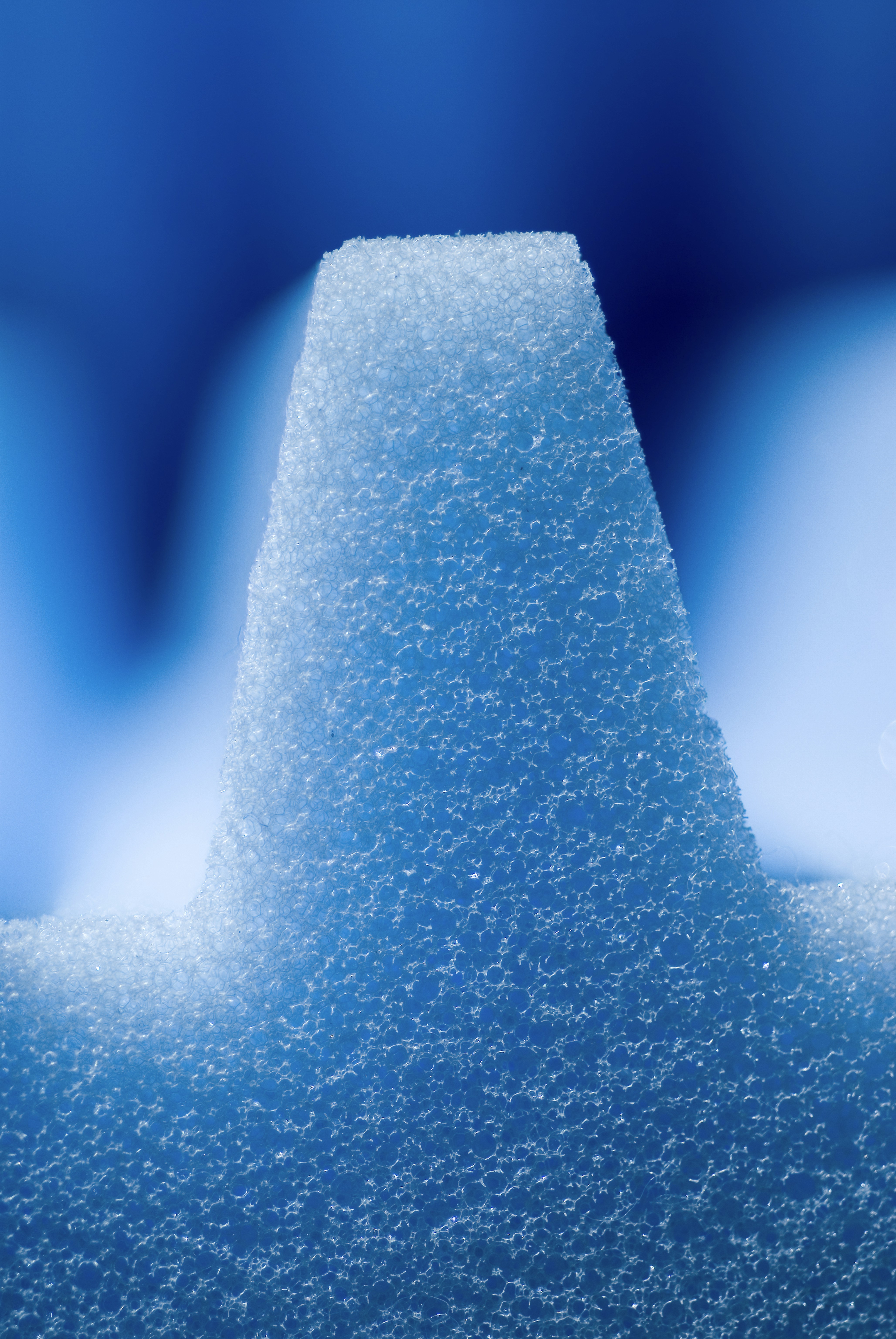 Texture De Mousse Photos | Télécharger des images gratuites sur Unsplash