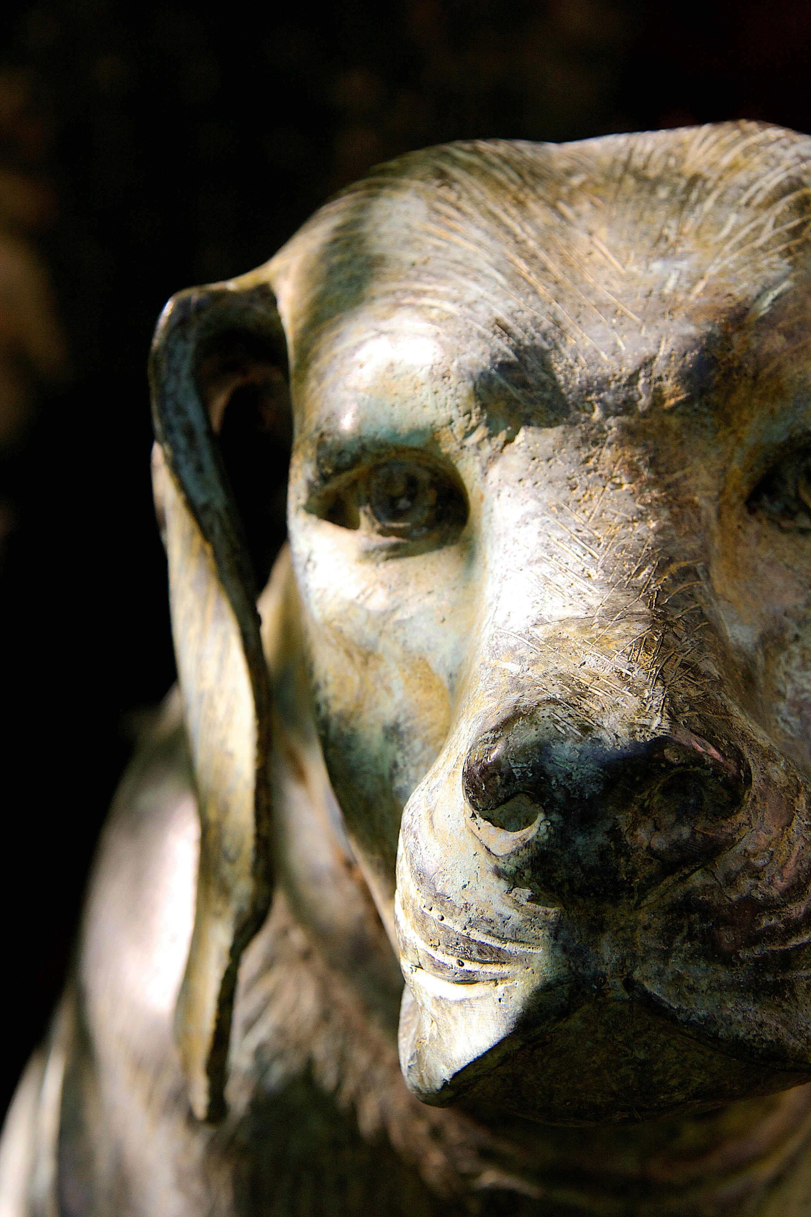 Patinaed Guardian: A Close-Up of a Weathered Dog Statue
