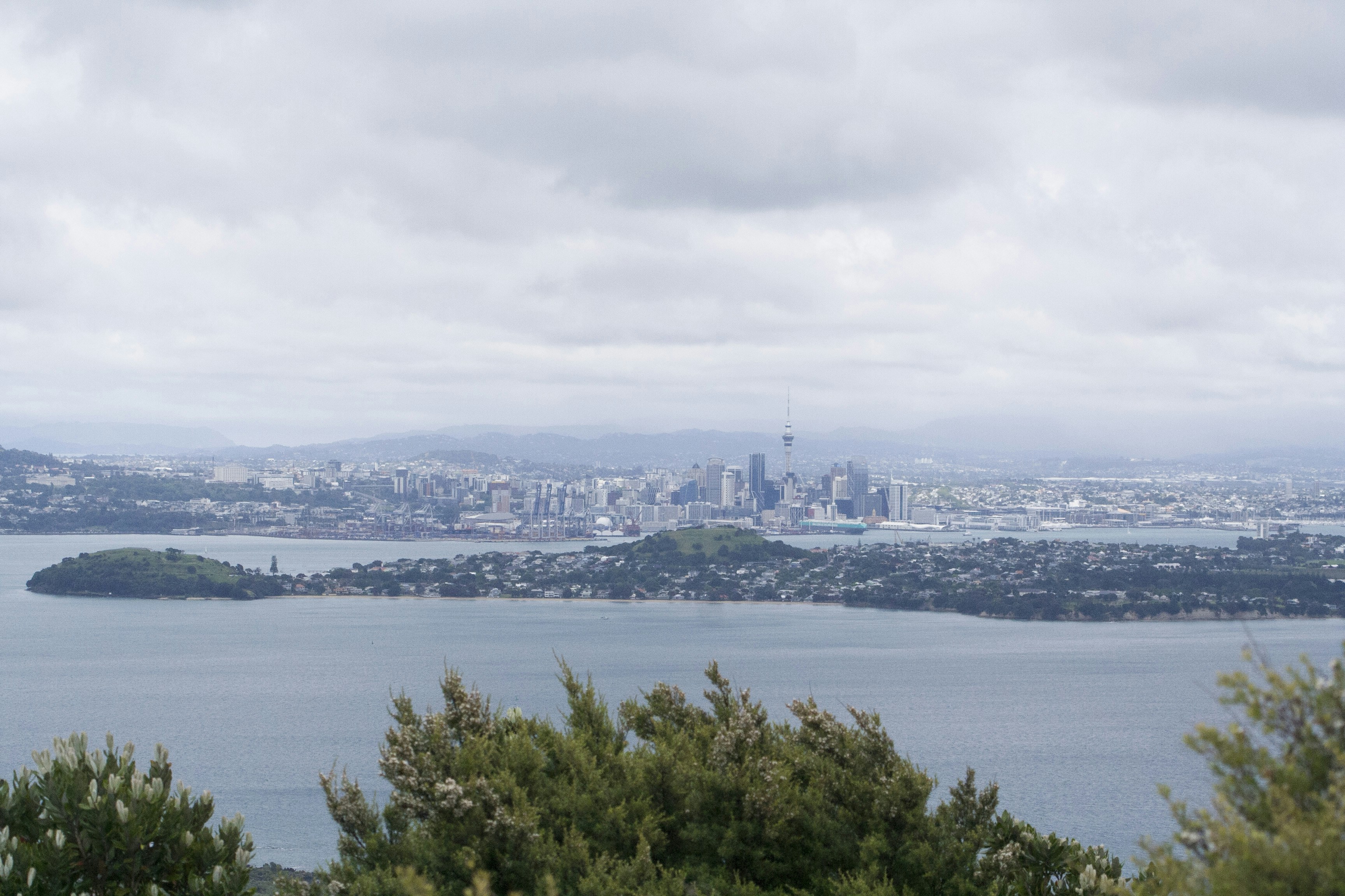 A panoramic view of a city skyline nestled by the water, framed by lush greenery in the foreground. The scene captures the harmonious blend of urban and natural landscapes.